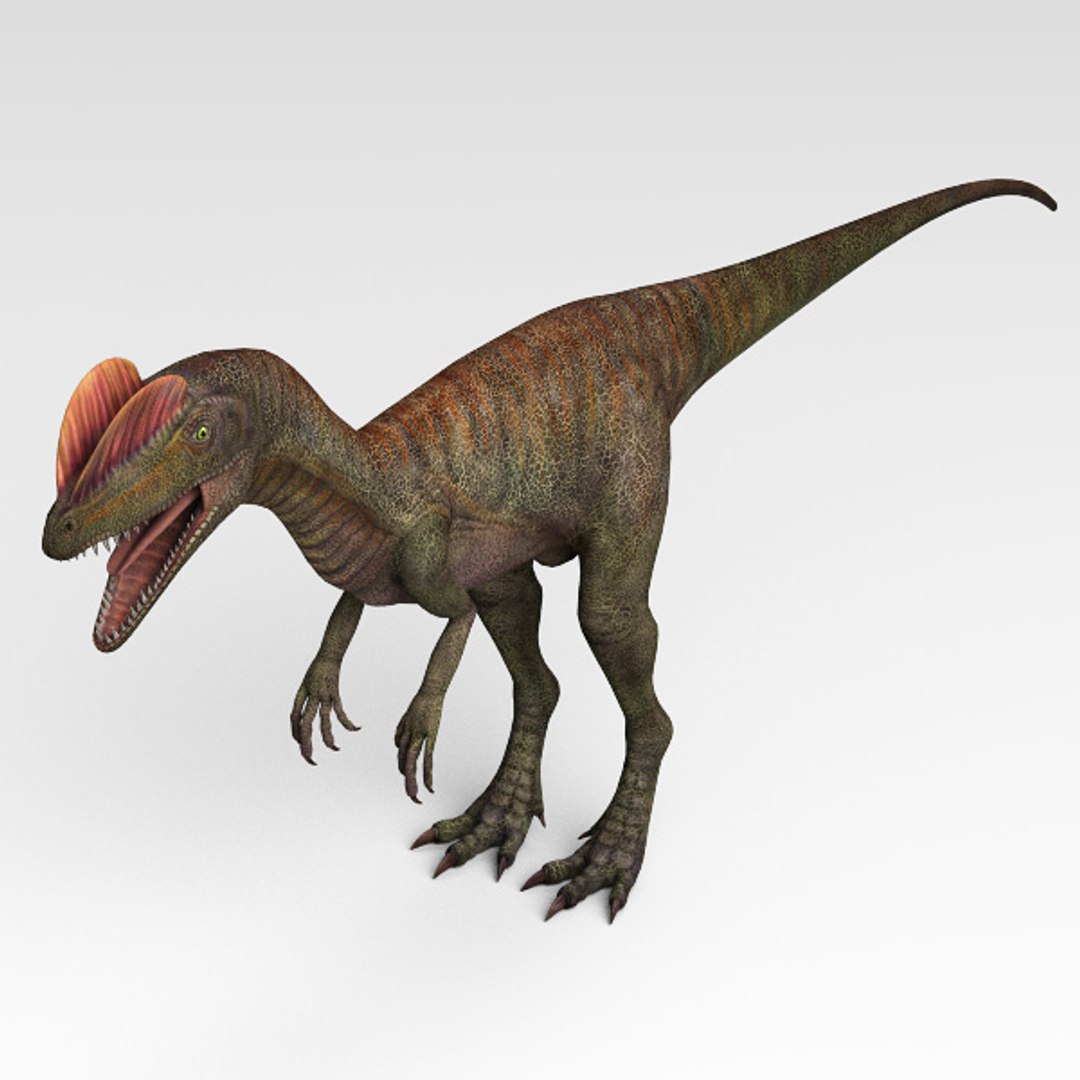 Dilophosaurus 3d Model