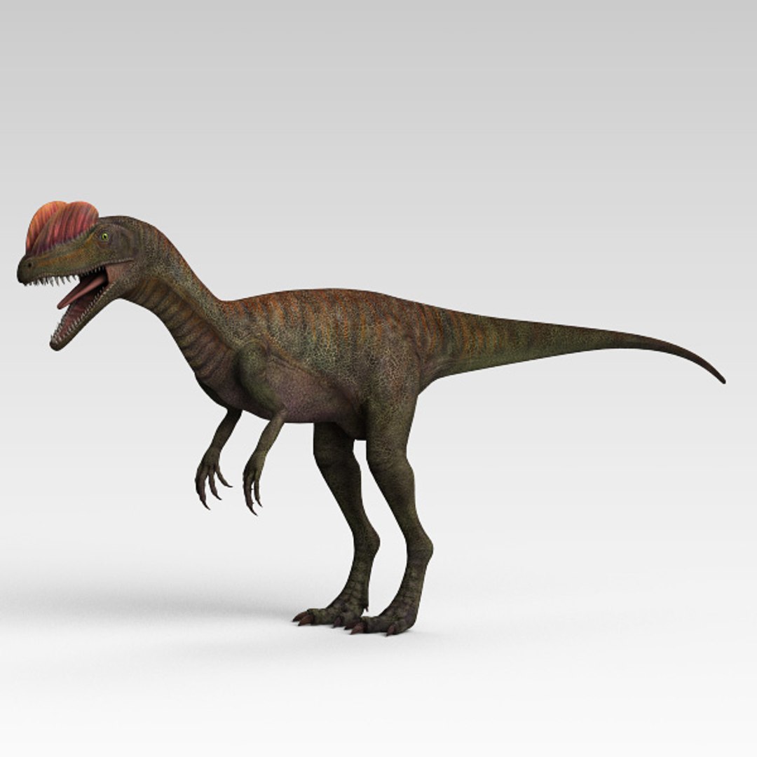 Dilophosaurus 3d Model