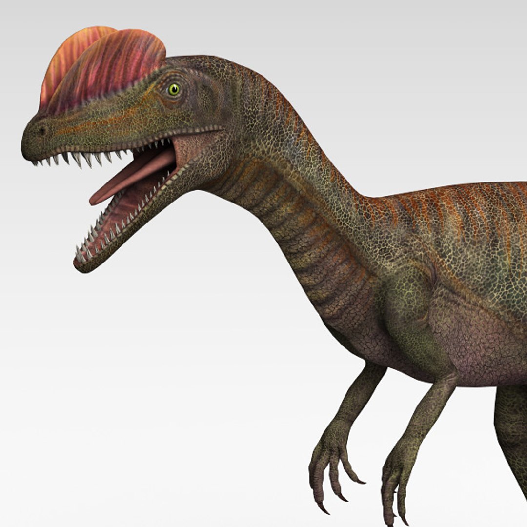 Dilophosaurus 3d Model