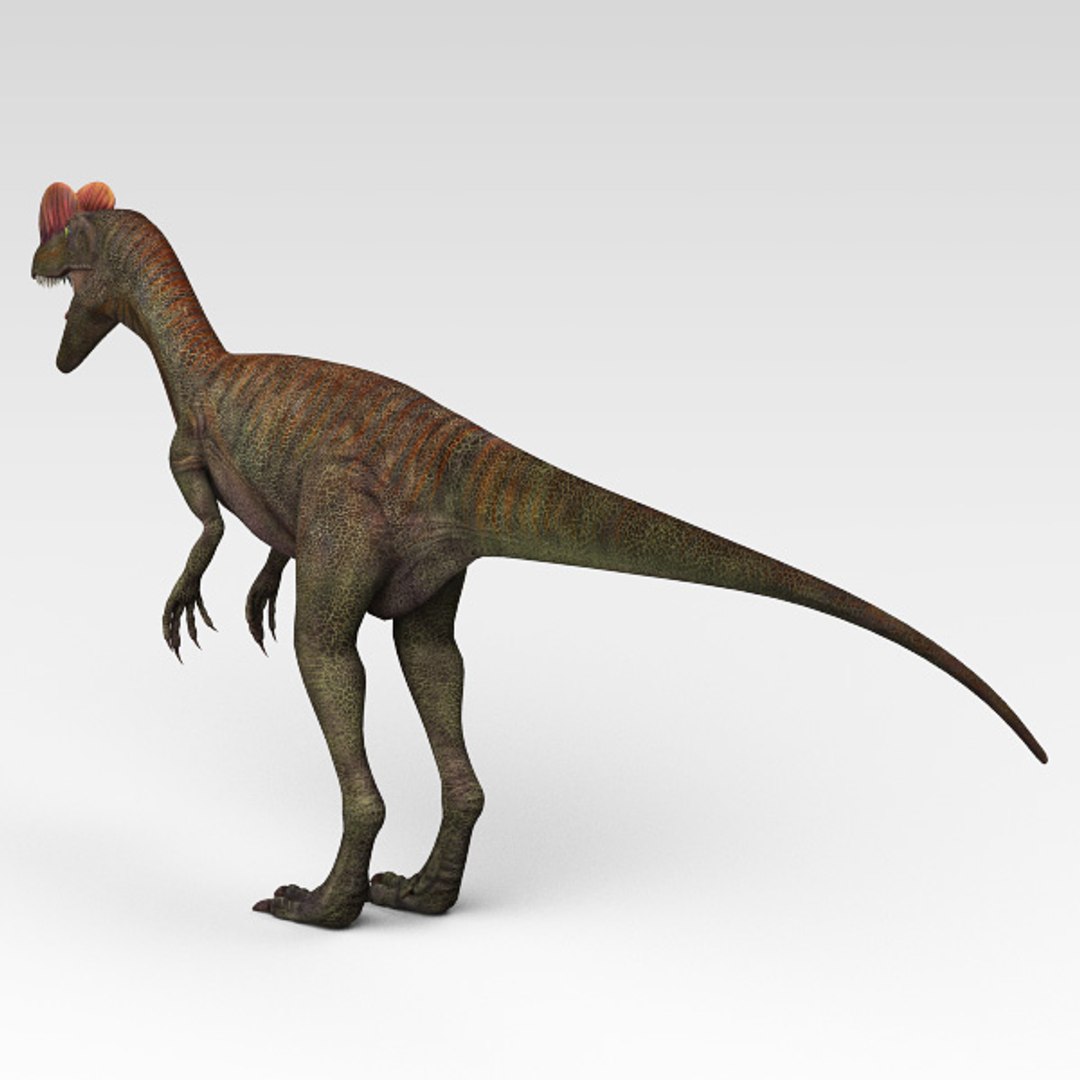 Dilophosaurus 3d Model