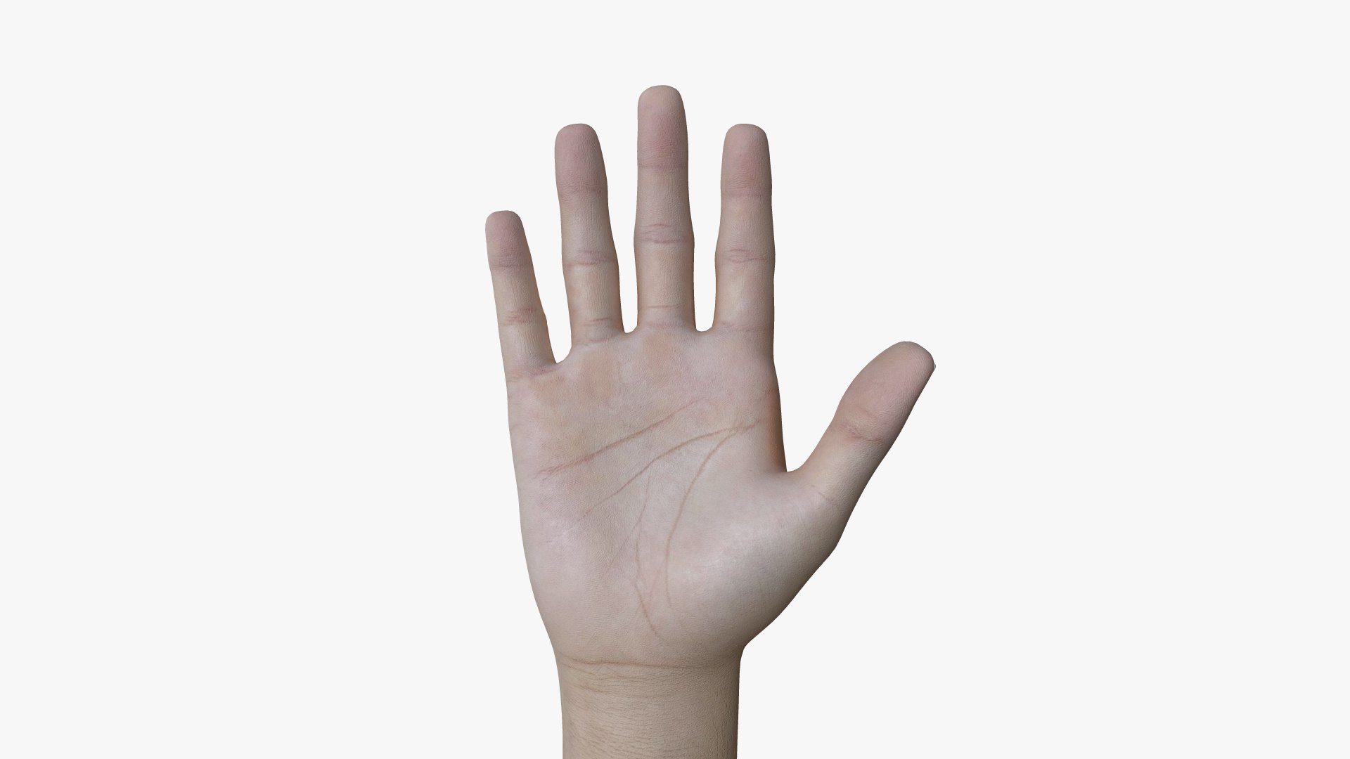 HND-005 Right Hand 3D Model - TurboSquid 1979823