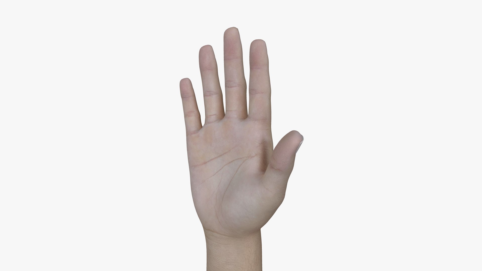 HND-005 Right Hand 3D Model - TurboSquid 1979823