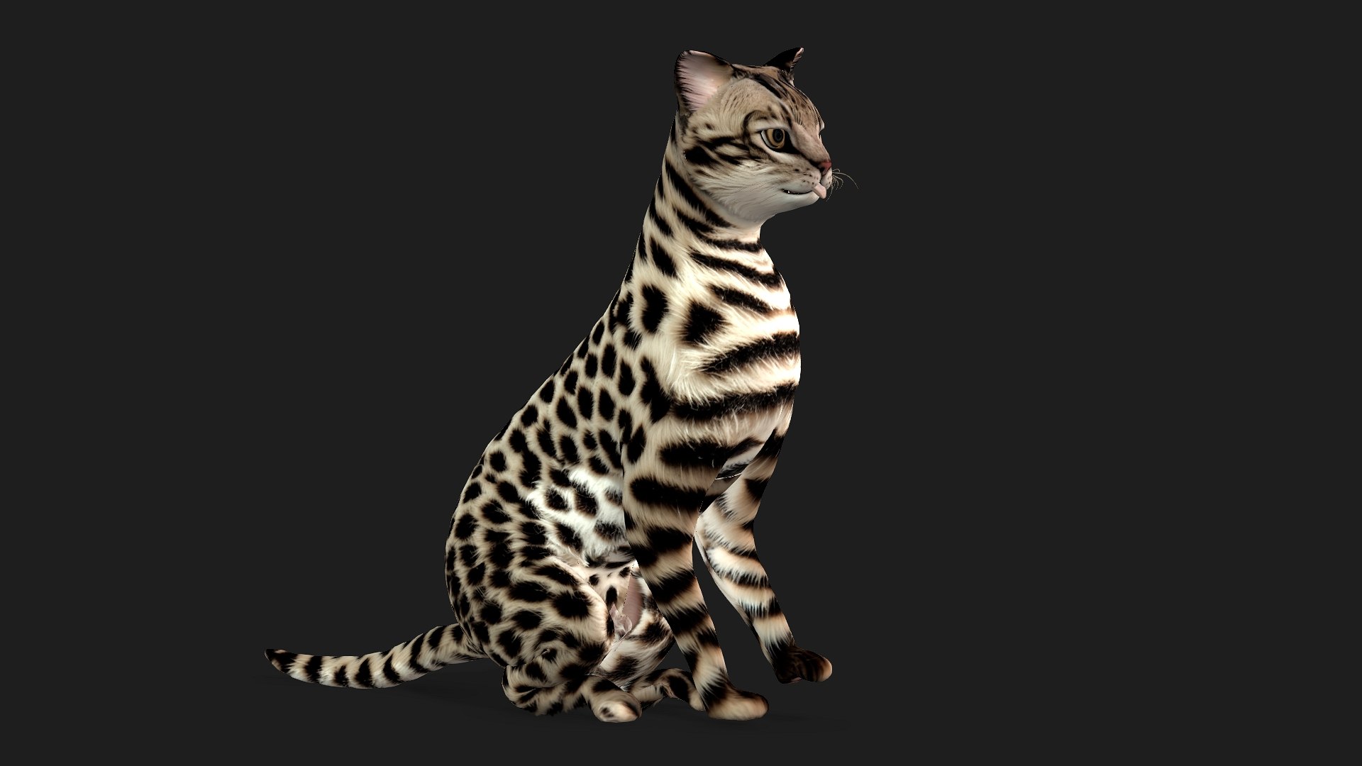 3D Leopard Cat-A2 - TurboSquid 2433260