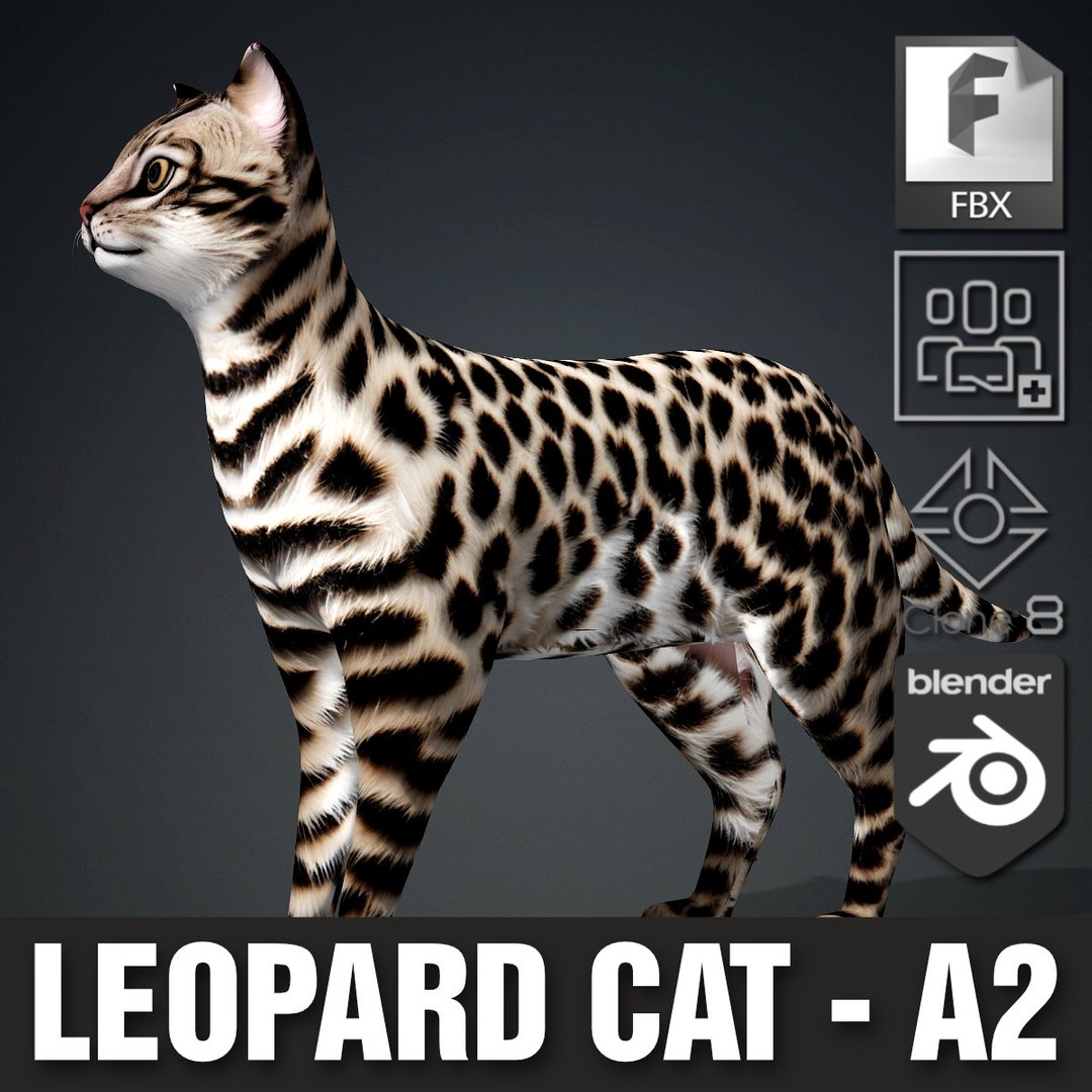 3D Leopard Cat-A2 - TurboSquid 2433260