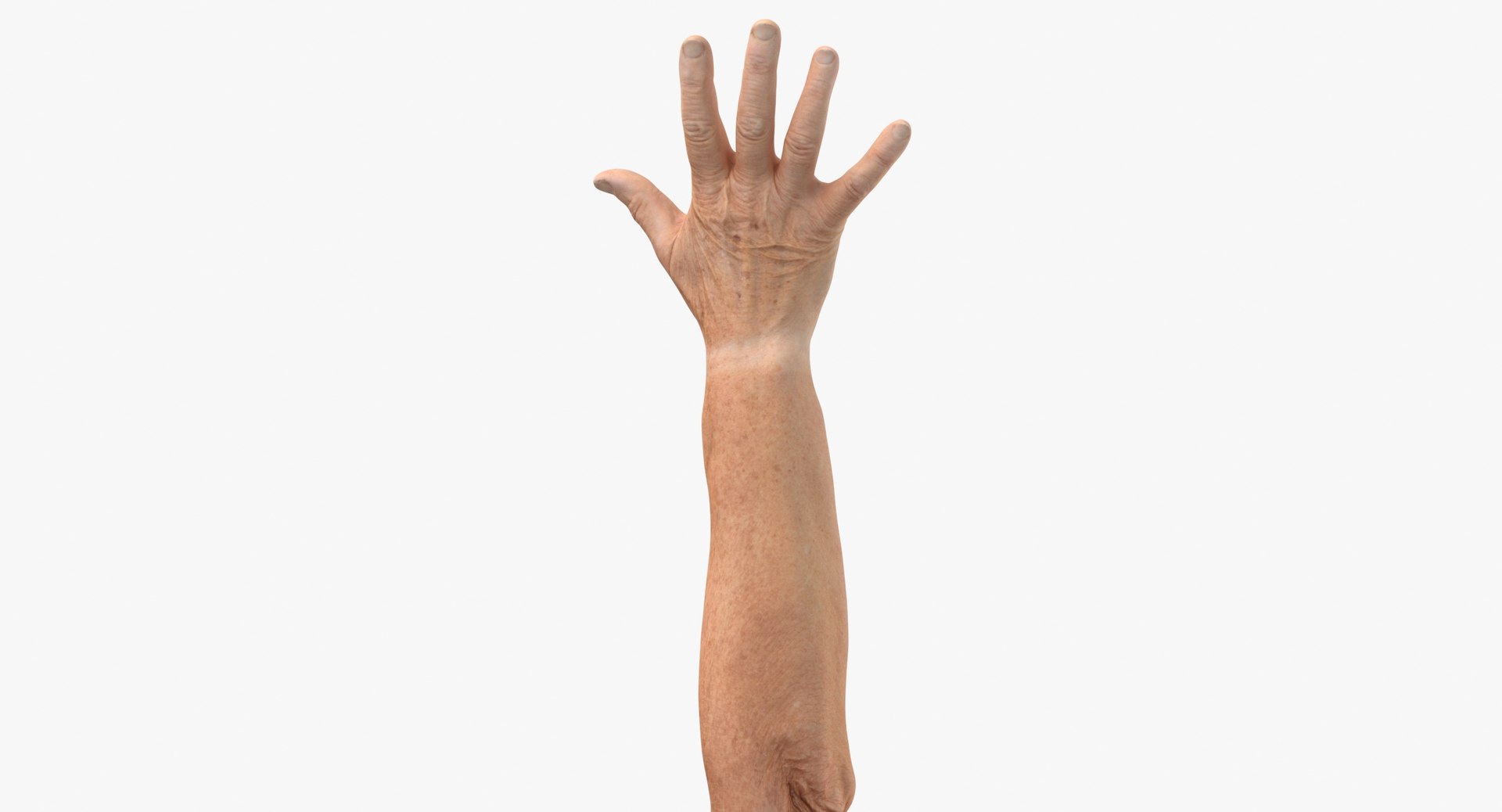 Victoria Hand Model - TurboSquid 1961657