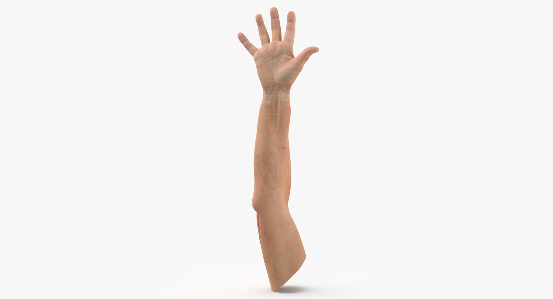 Victoria Hand Model - TurboSquid 1961657