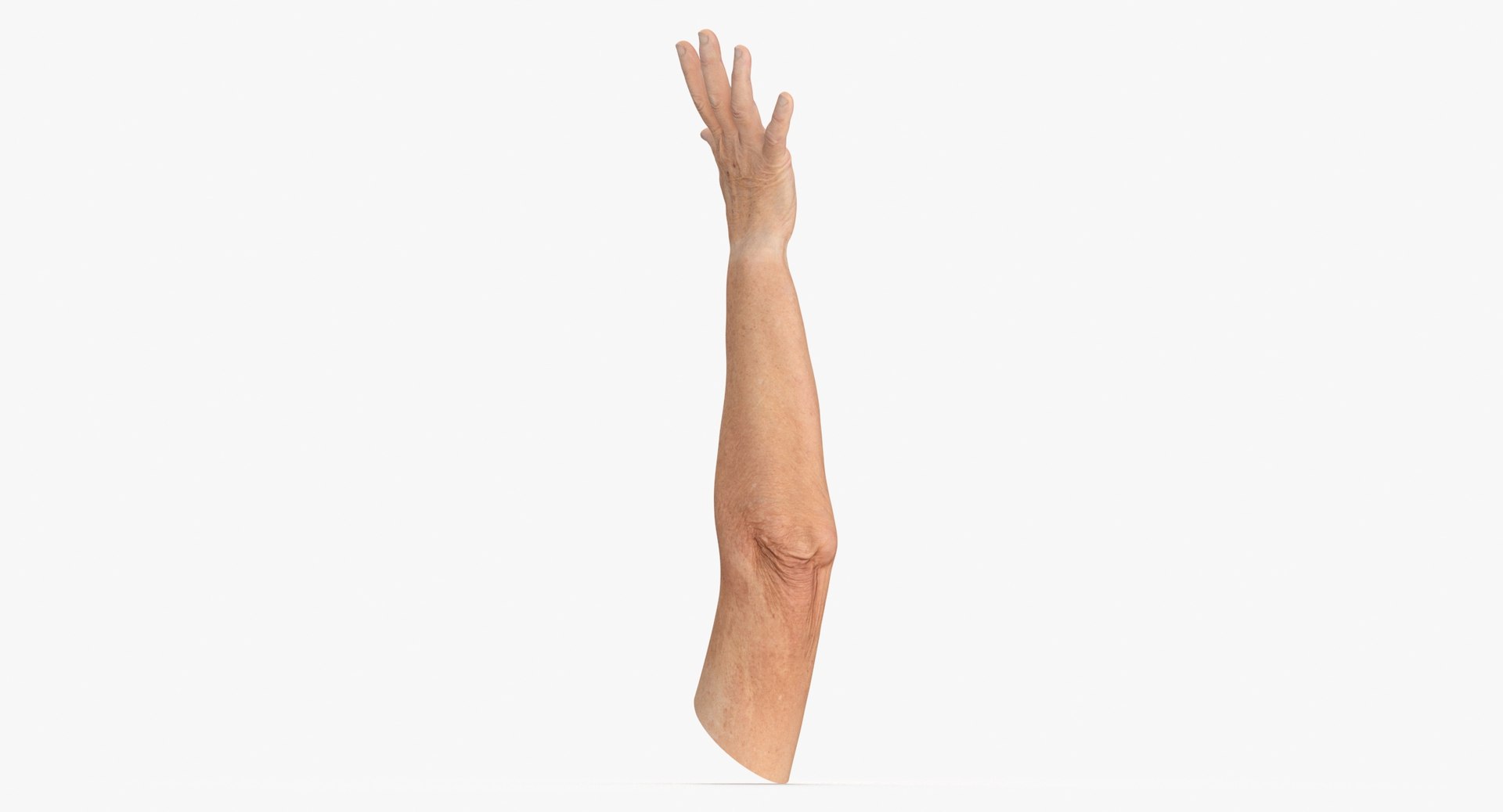 Victoria Hand Model - TurboSquid 1961657
