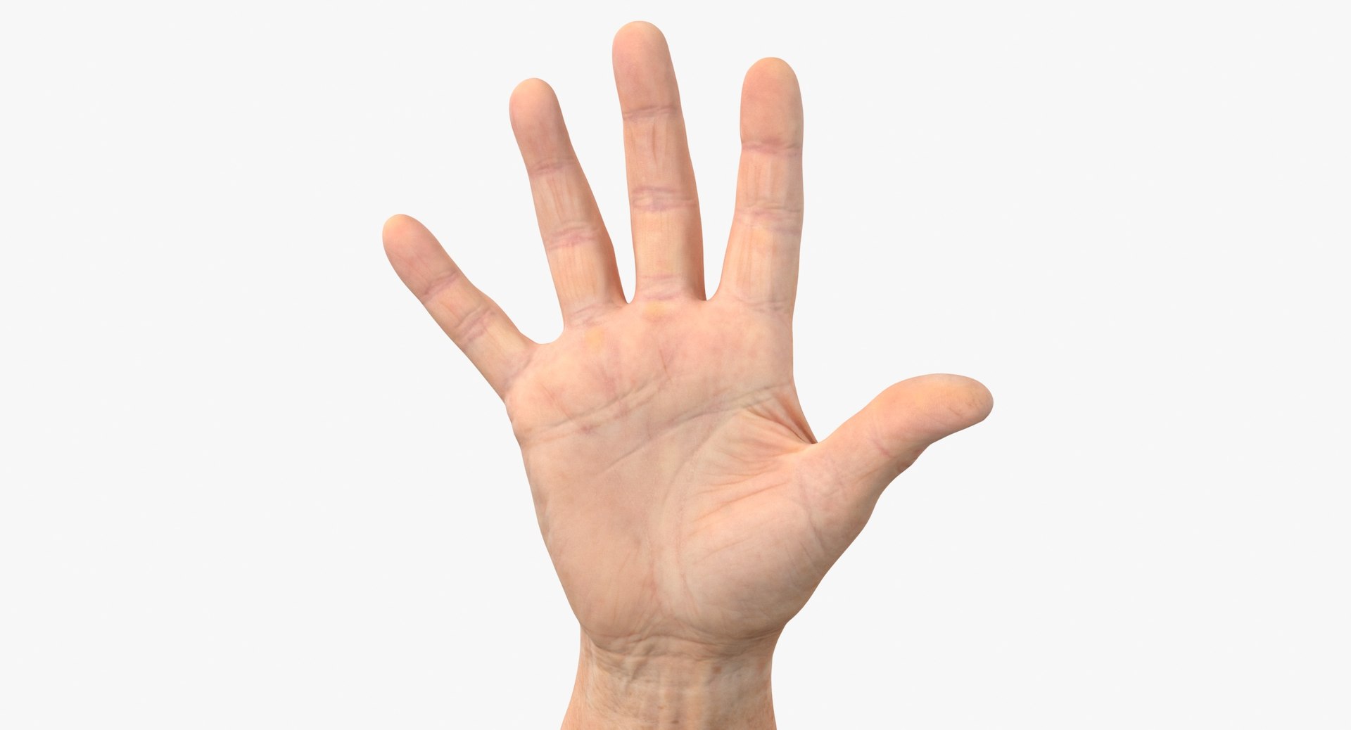 Victoria Hand Model - TurboSquid 1961657