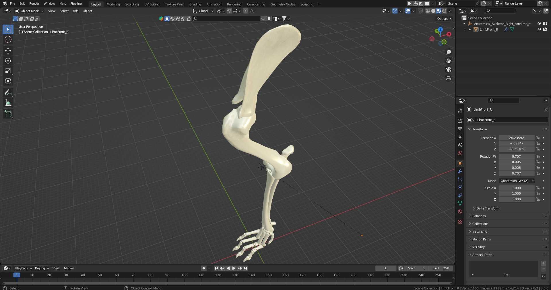 3D Anatomical Skeleton Right Forelimb Of Dog - TurboSquid 2402295