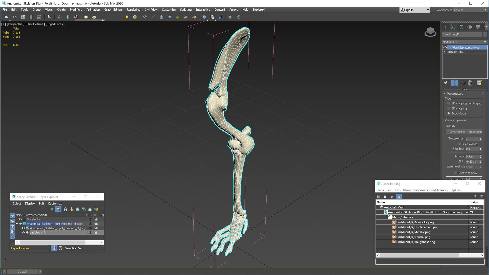3D Anatomical Skeleton Right Forelimb Of Dog - TurboSquid 2402295