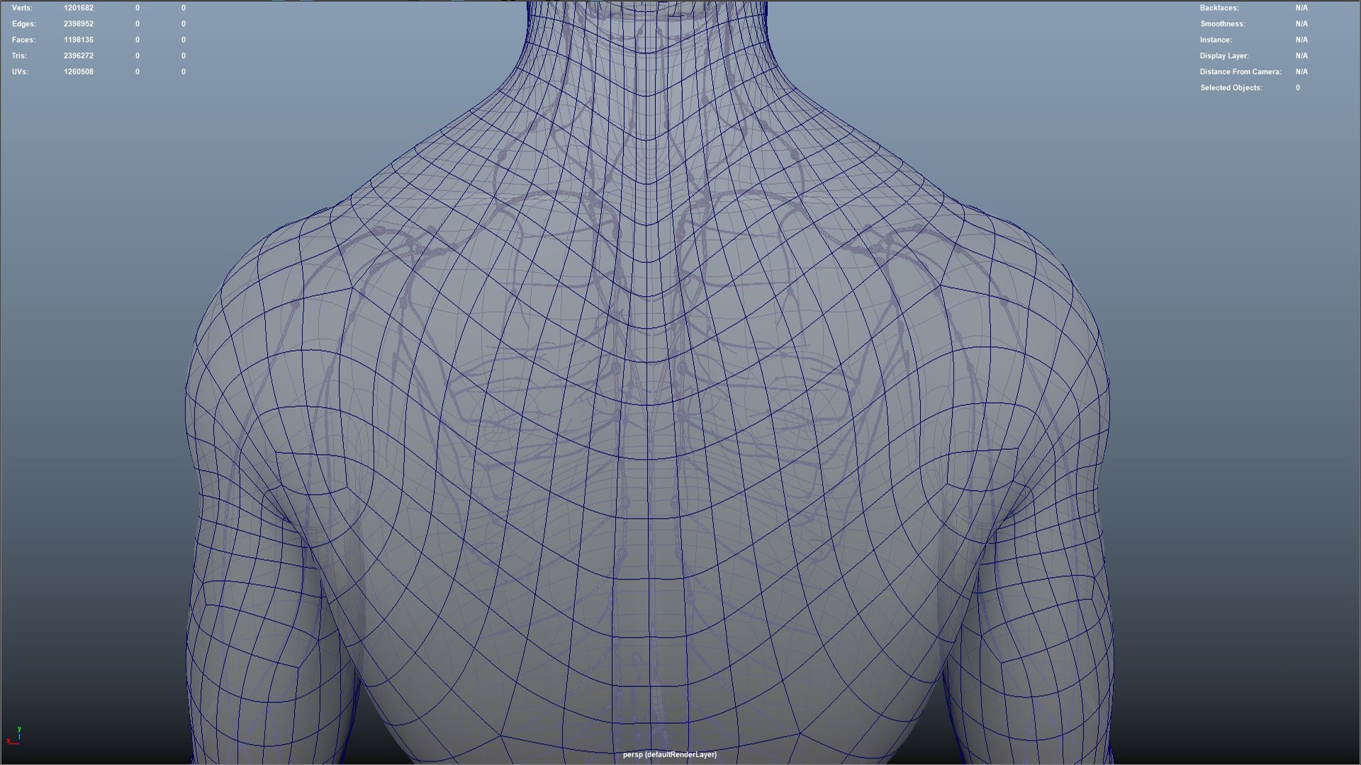 Natural body with Lymph nodes 3D model - TurboSquid 1876476