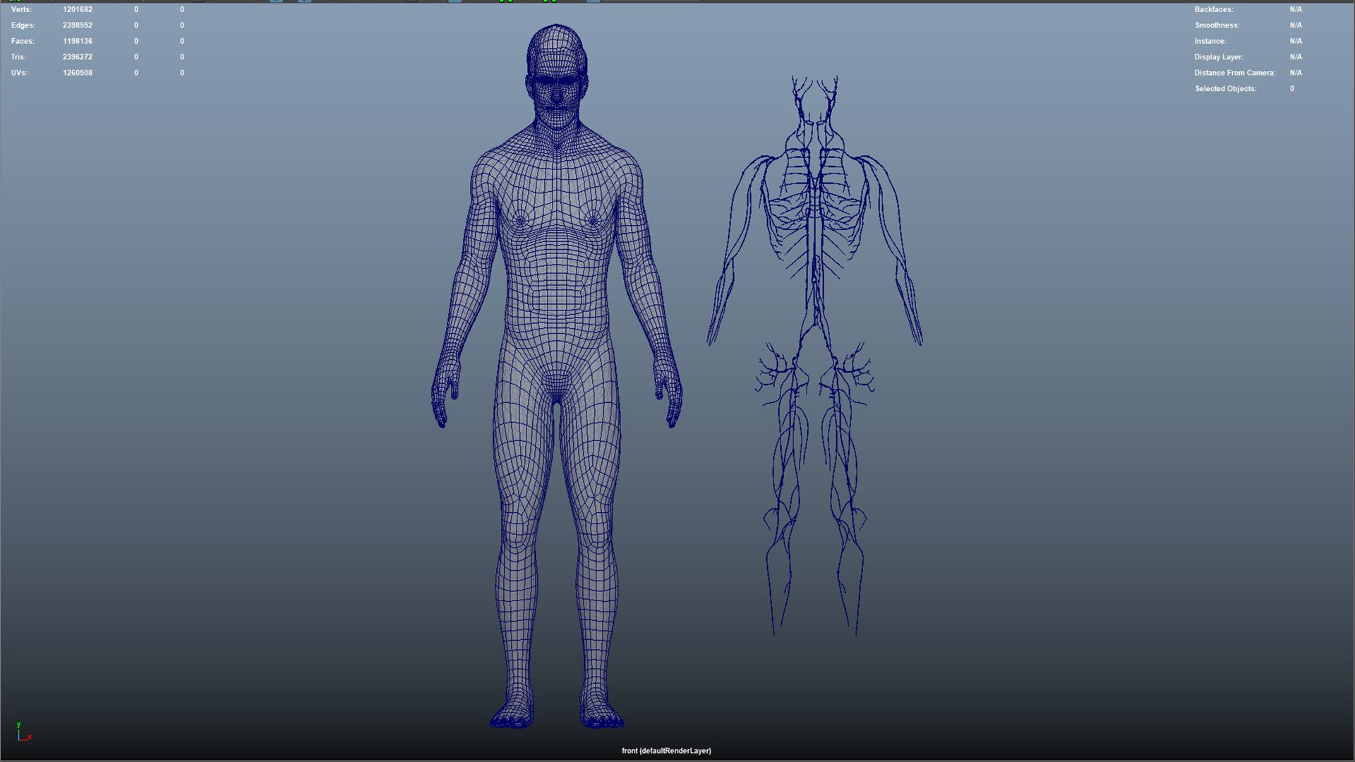 Natural body with Lymph nodes 3D model - TurboSquid 1876476