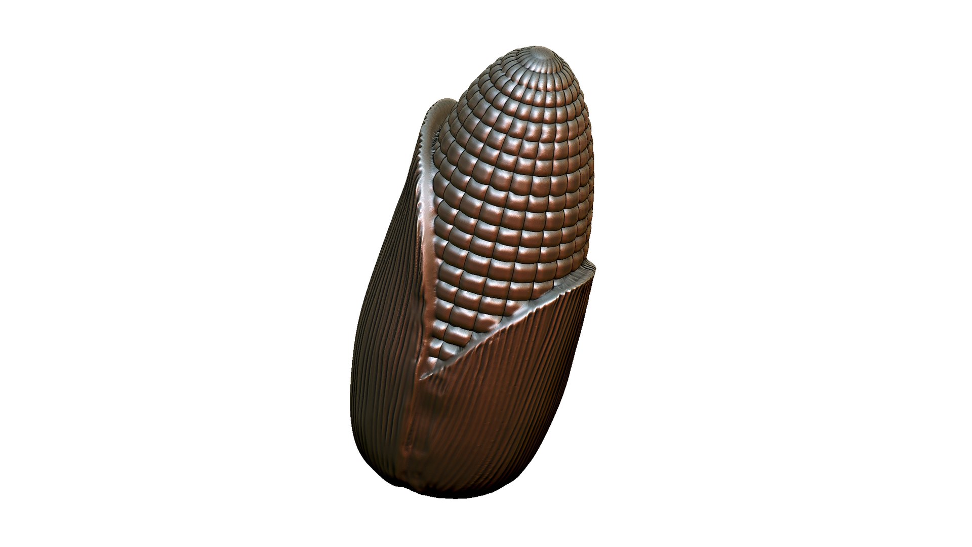 3D Maize For 3D Printing Model - TurboSquid 2284391