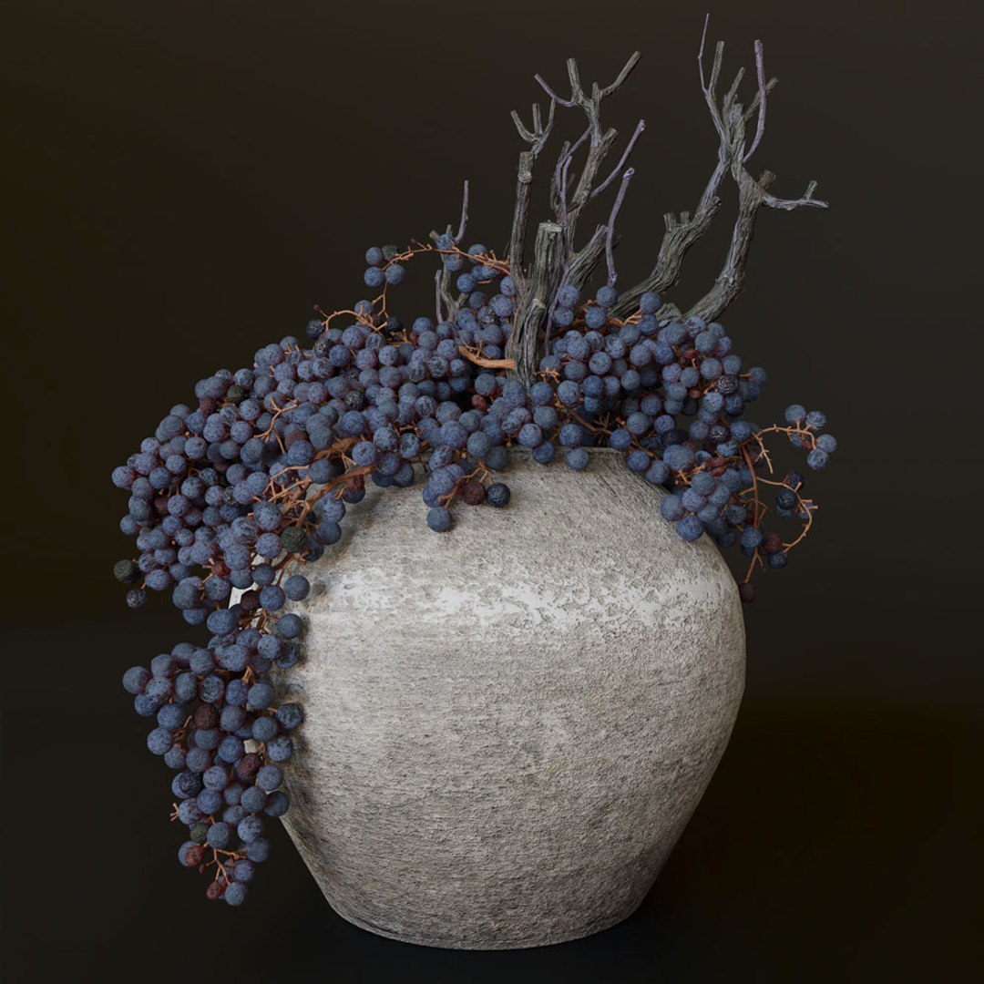 Decor Dry Grape Ceramic 3D Model - TurboSquid 1354728