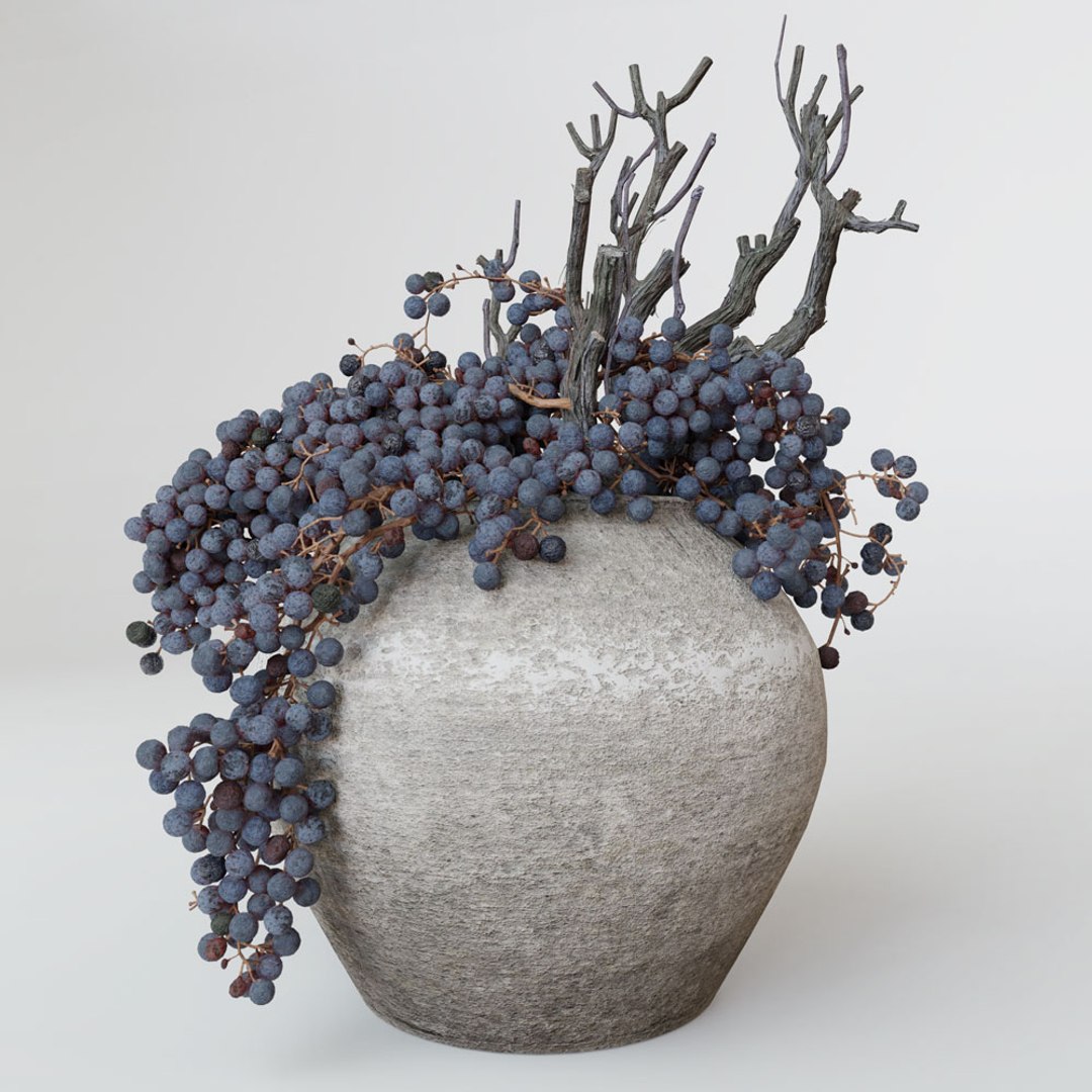 Decor Dry Grape Ceramic 3D Model - TurboSquid 1354728