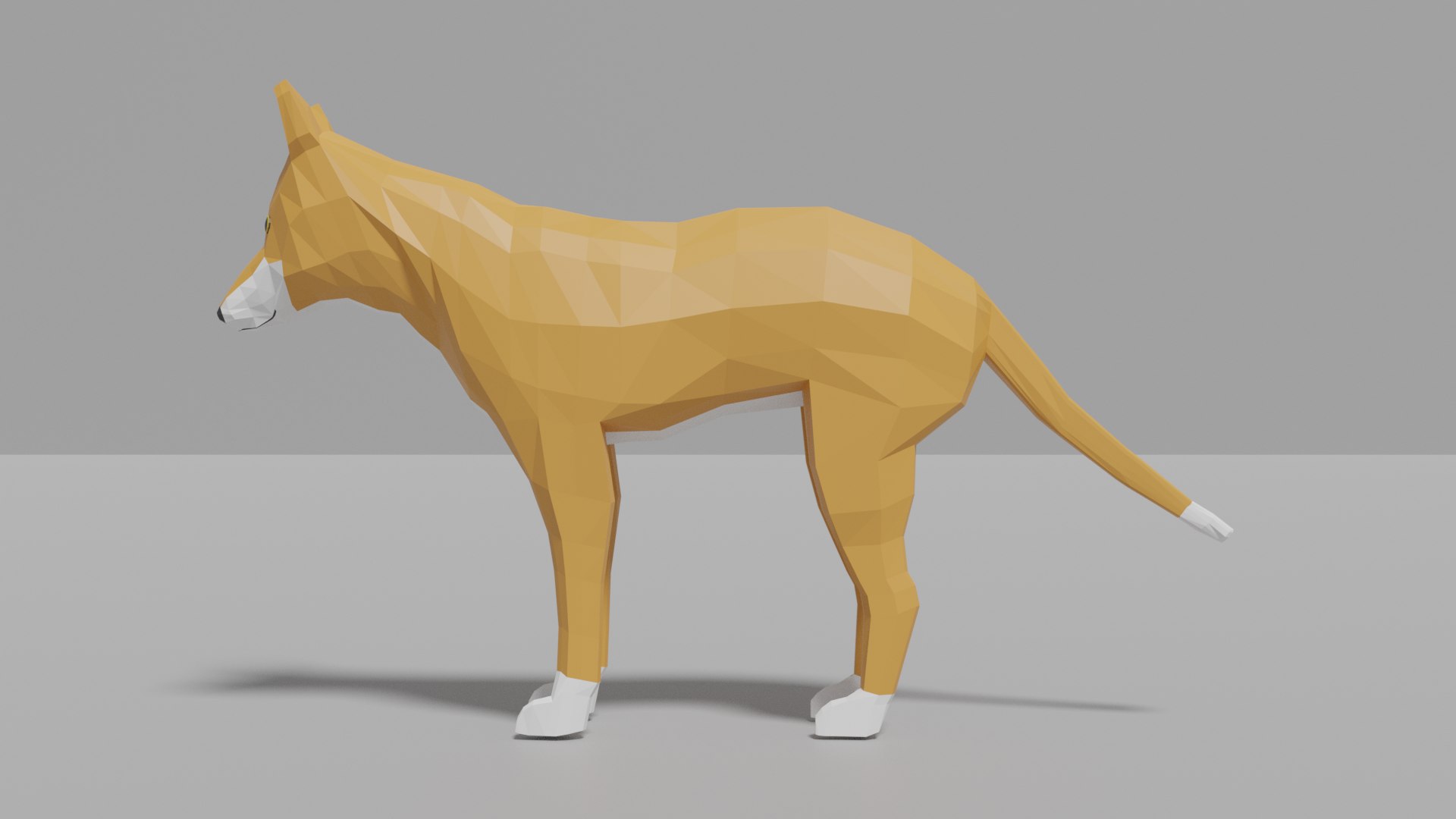 3D dingo model - TurboSquid 1652513