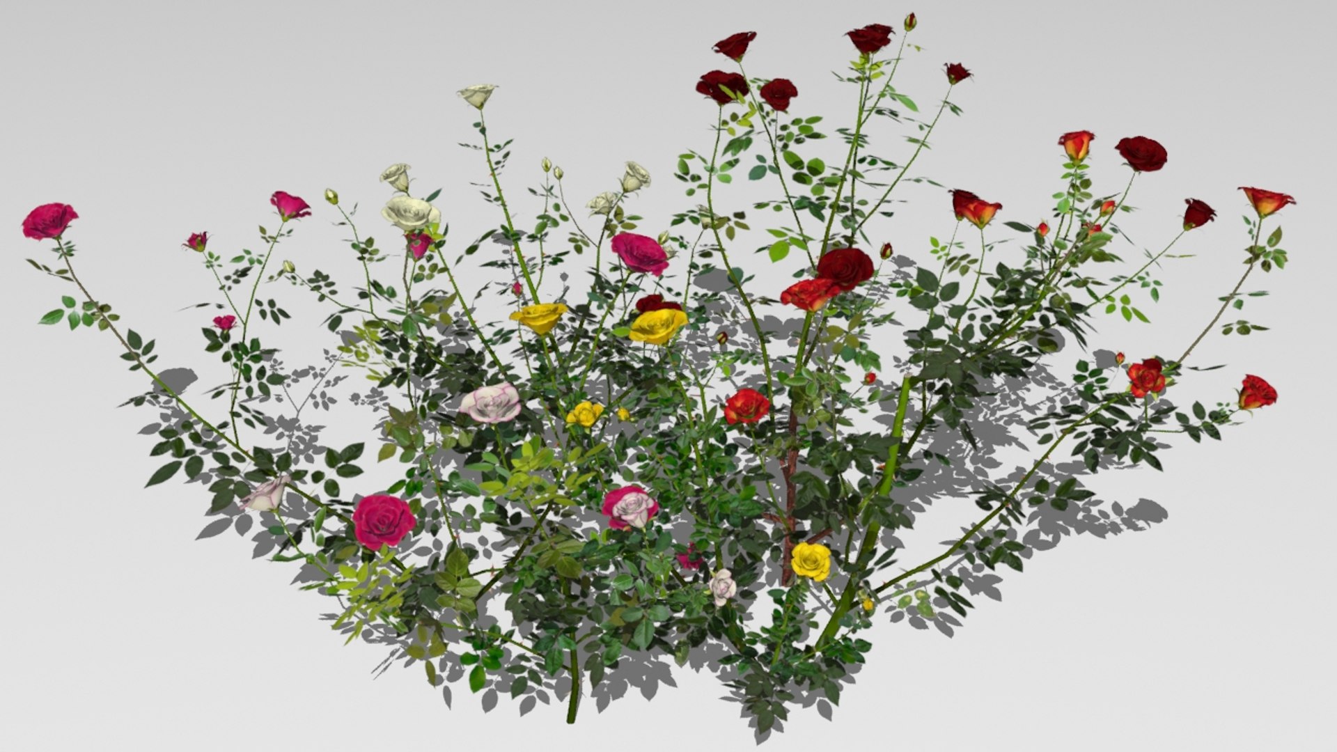 3D Bushes Roses Model - TurboSquid 1372758