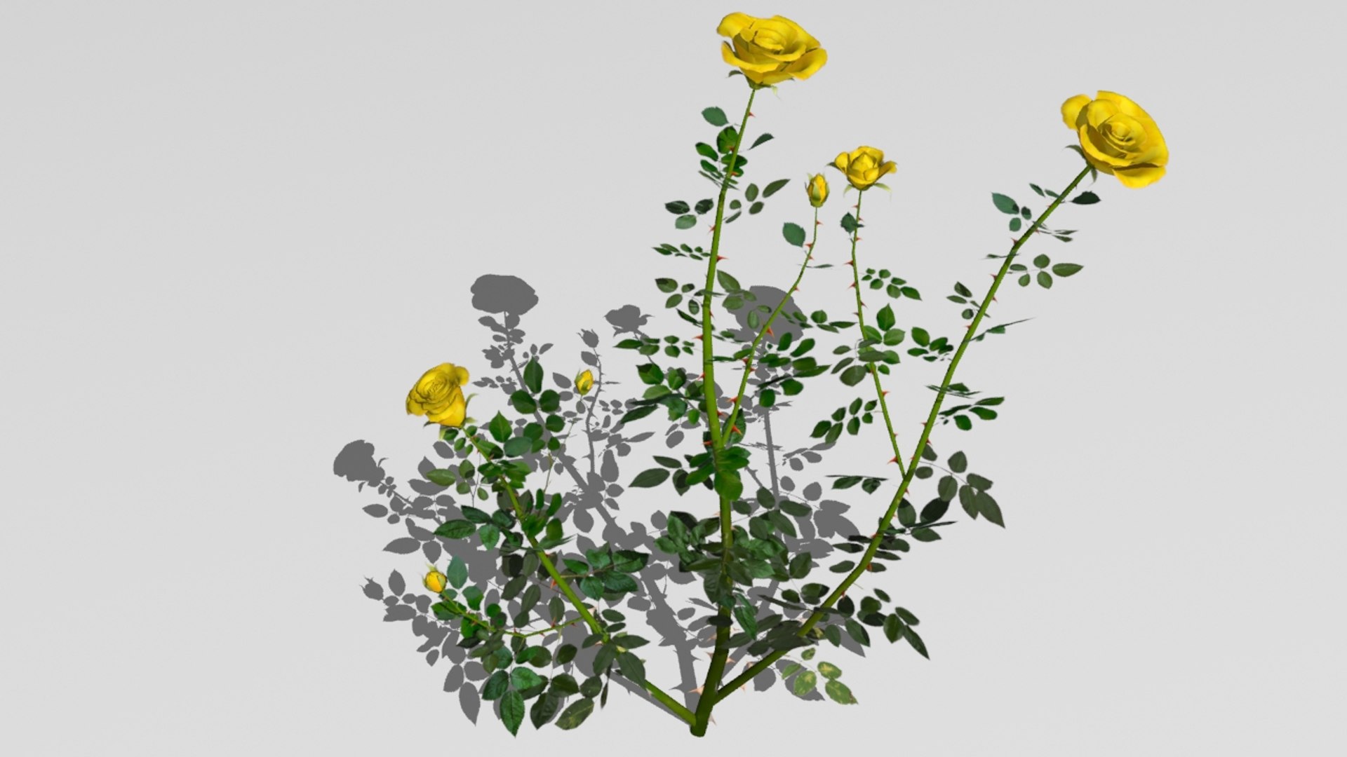 3D Bushes Roses Model - TurboSquid 1372758