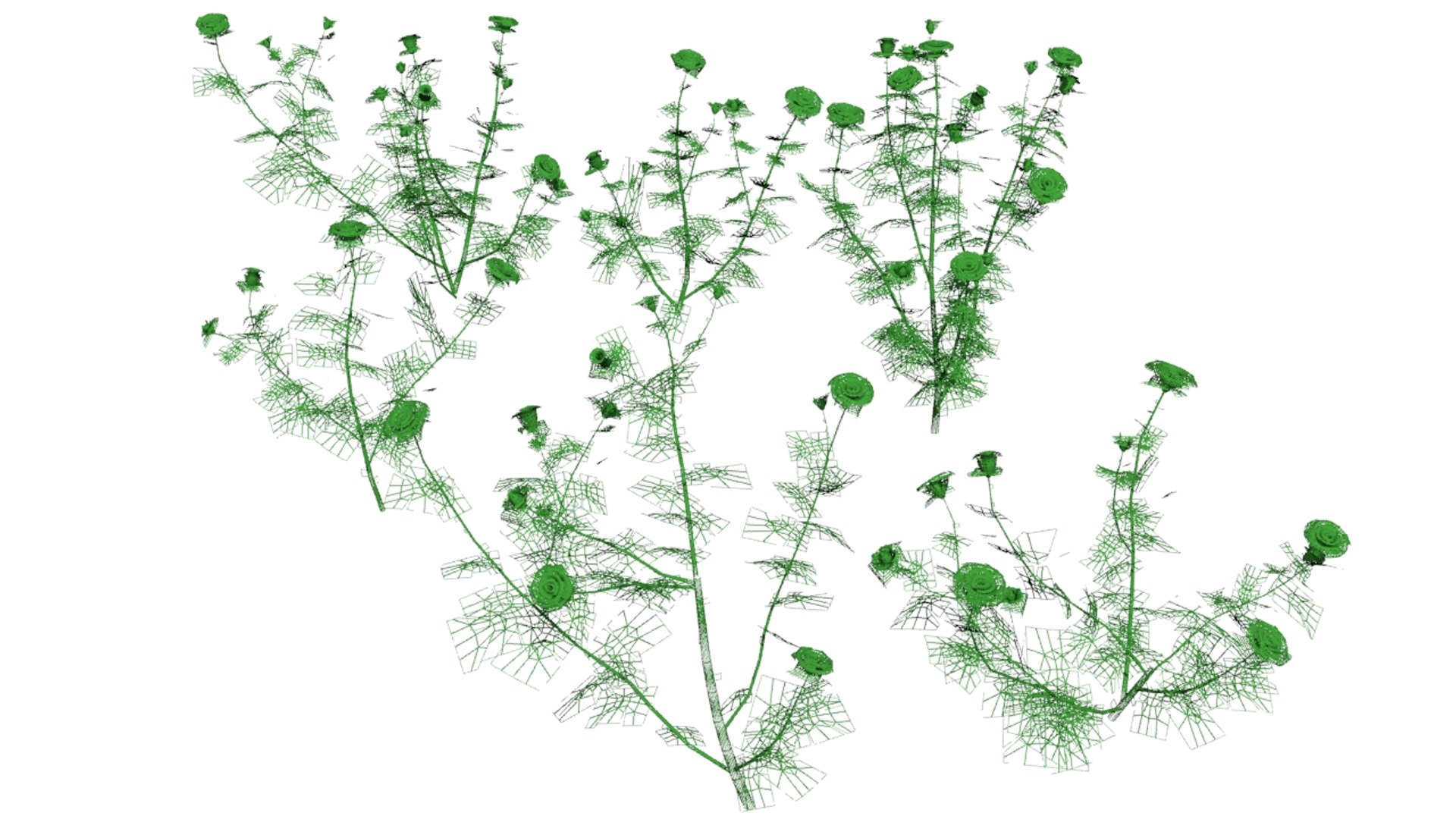 3D Bushes Roses Model - TurboSquid 1372758