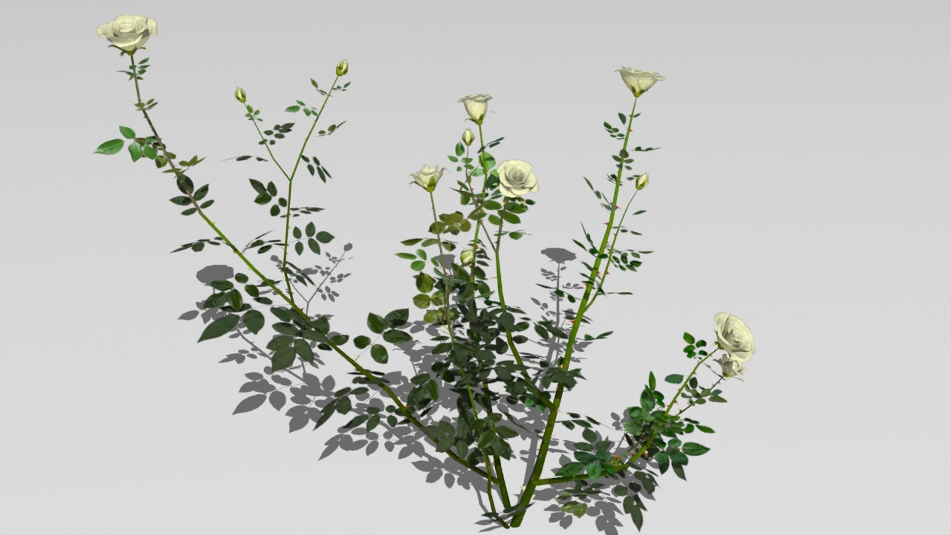 3D Bushes Roses Model - TurboSquid 1372758