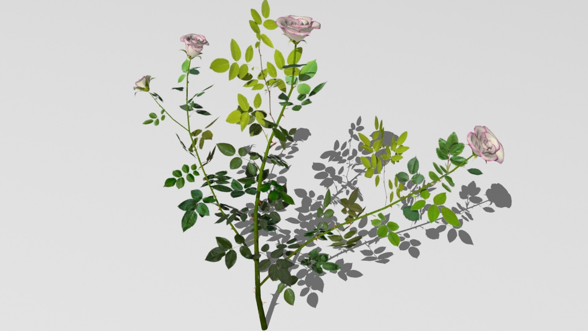 3D Bushes Roses Model - TurboSquid 1372758