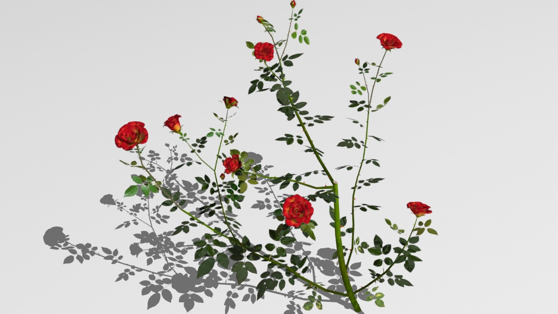 3D Bushes Roses Model - TurboSquid 1372758