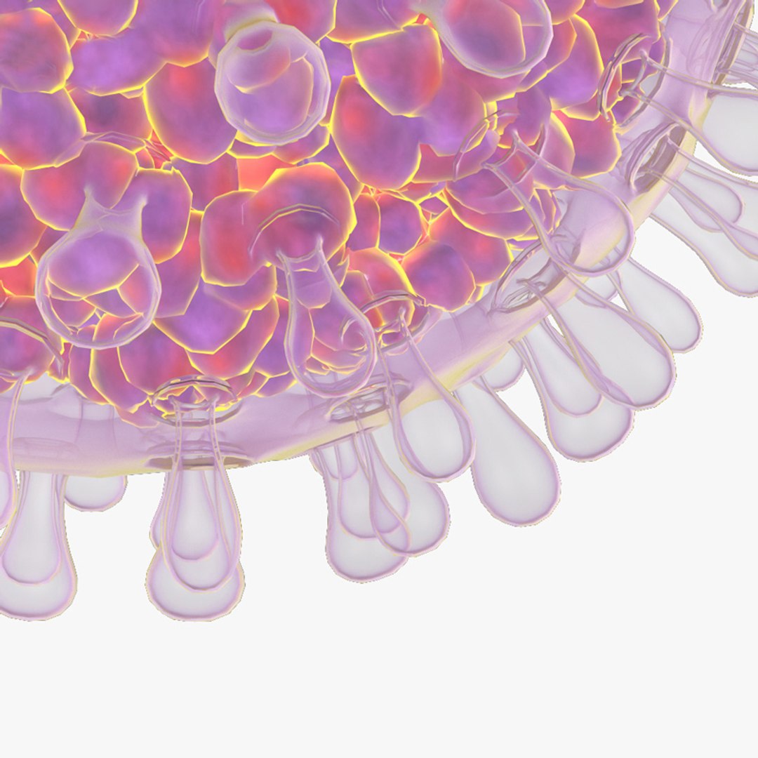 Rotavirus rota virus 3D model - TurboSquid 1680905