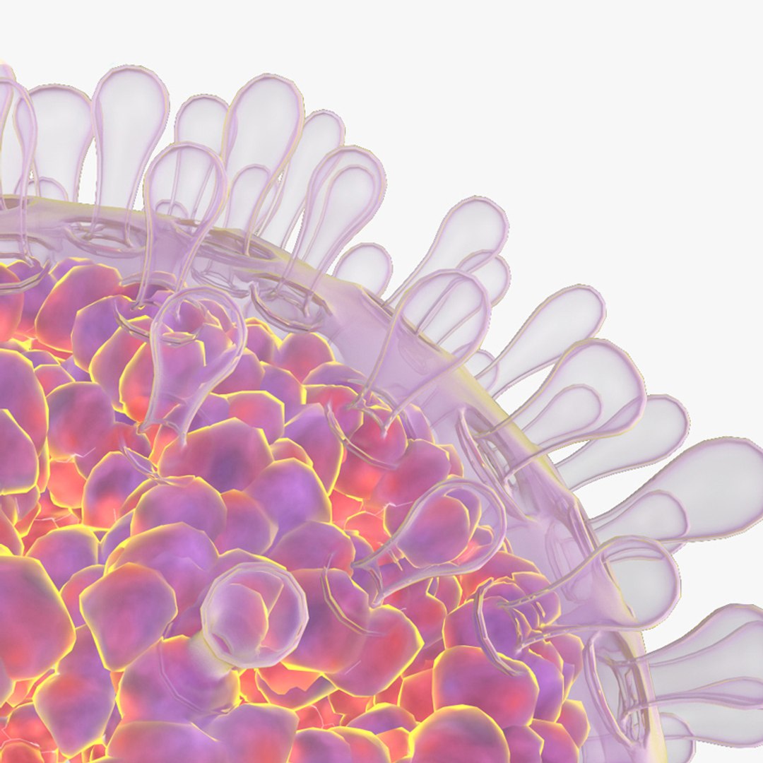 Rotavirus rota virus 3D model - TurboSquid 1680905