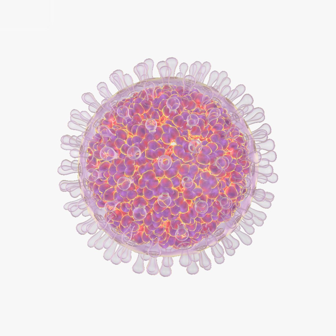 Rotavirus rota virus 3D model - TurboSquid 1680905