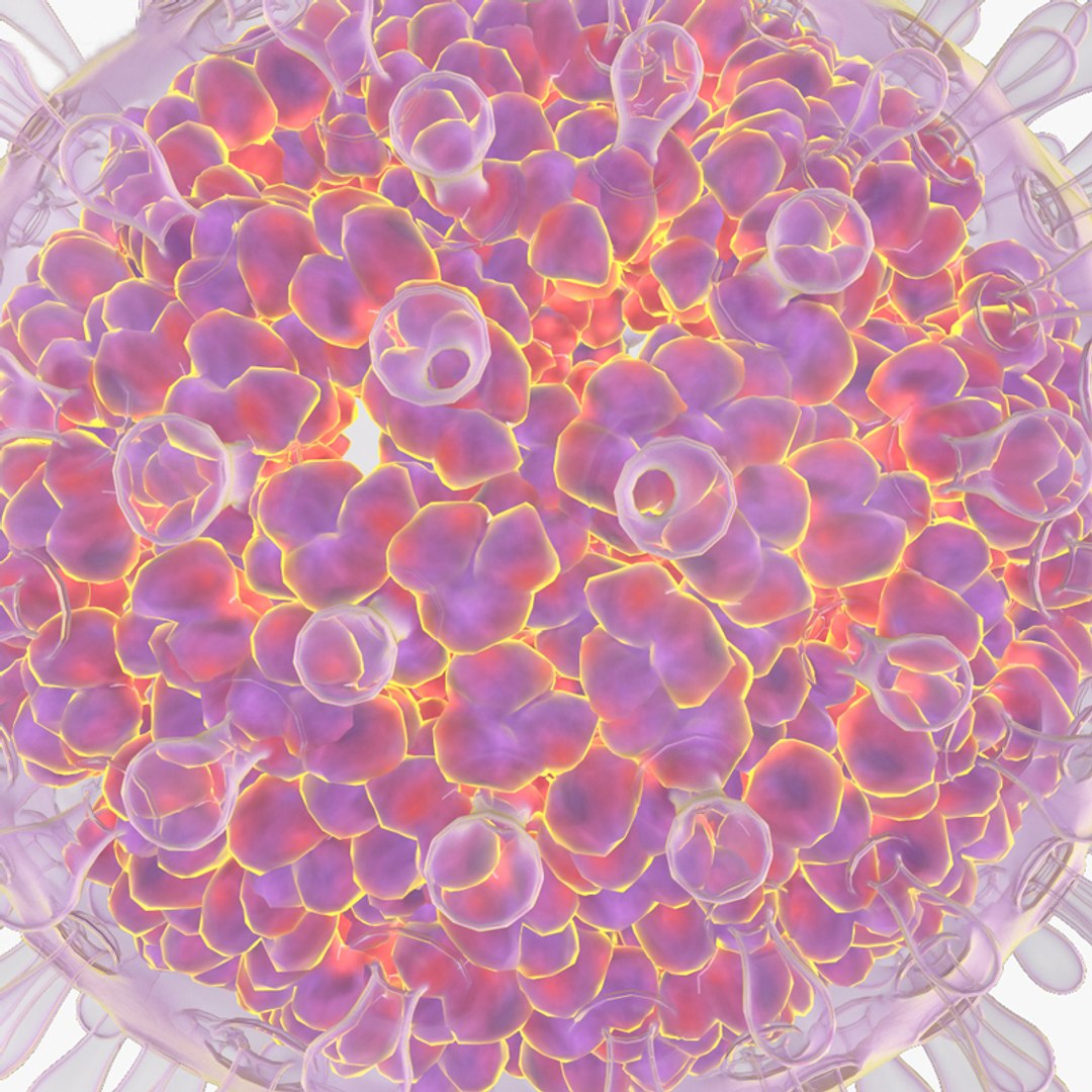 Rotavirus rota virus 3D model - TurboSquid 1680905