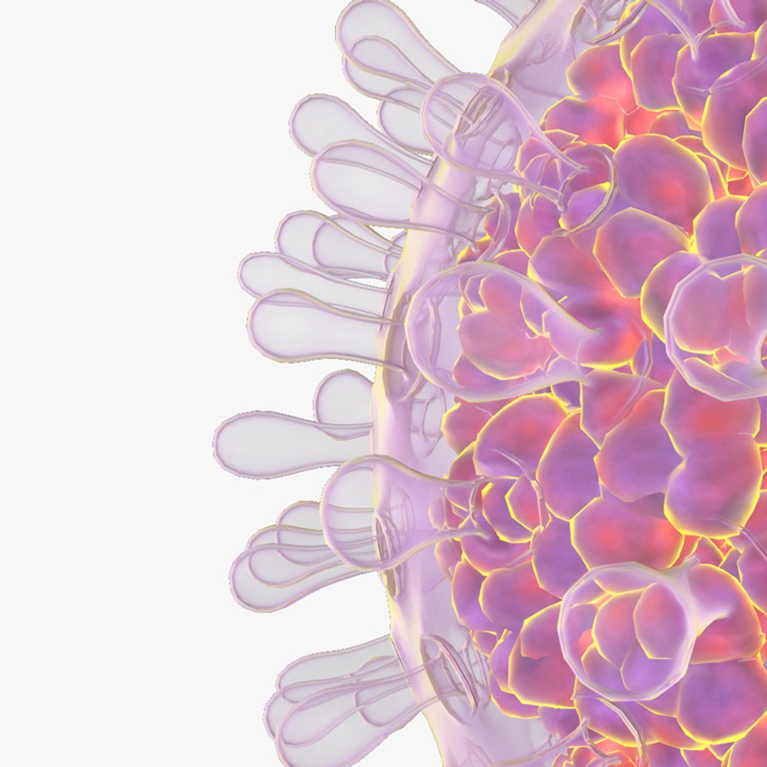 Rotavirus rota virus 3D model - TurboSquid 1680905