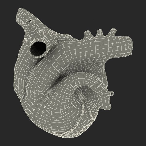 human heart c4d
