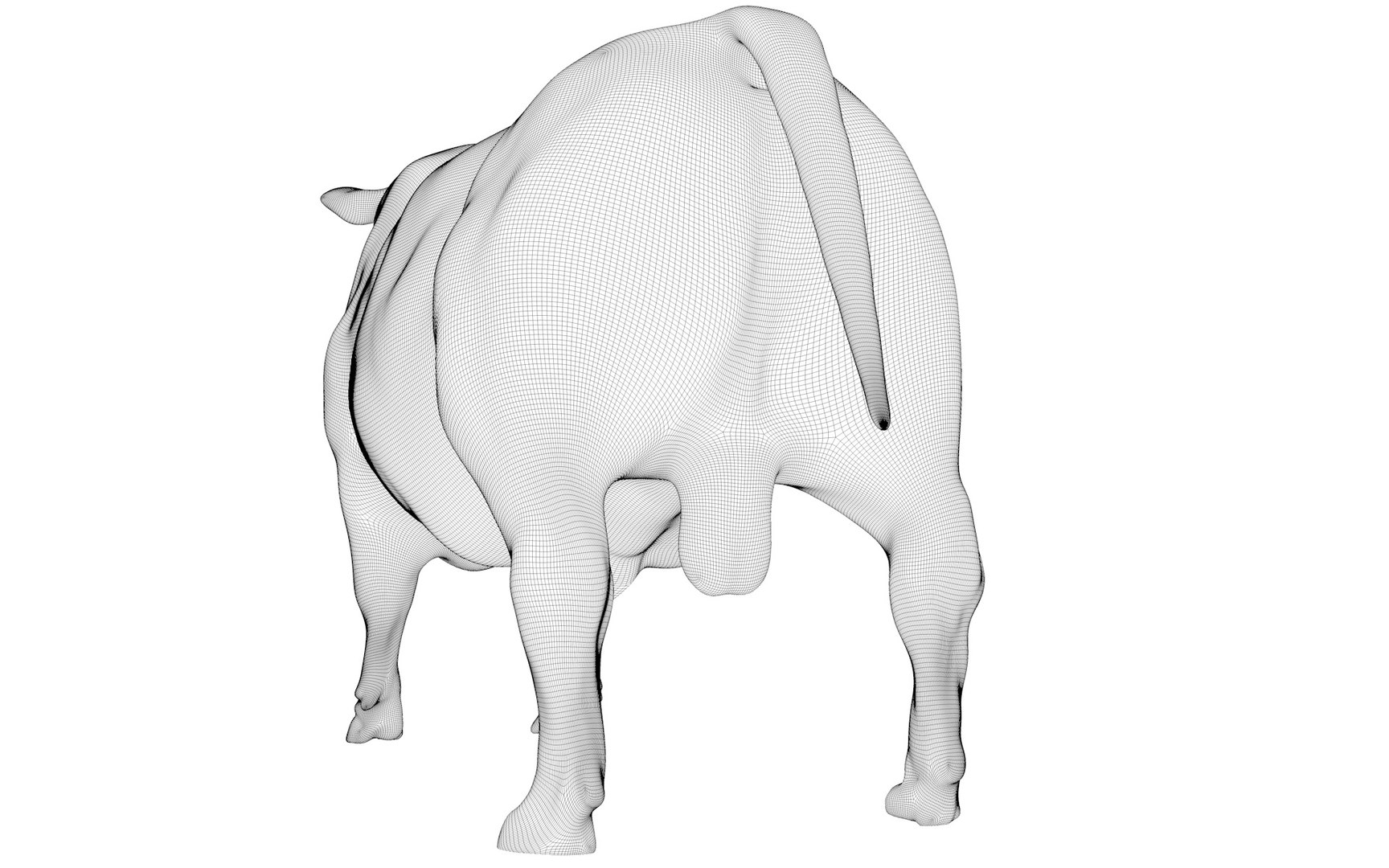 3D RED ANGUS L2052 model - TurboSquid 2153480