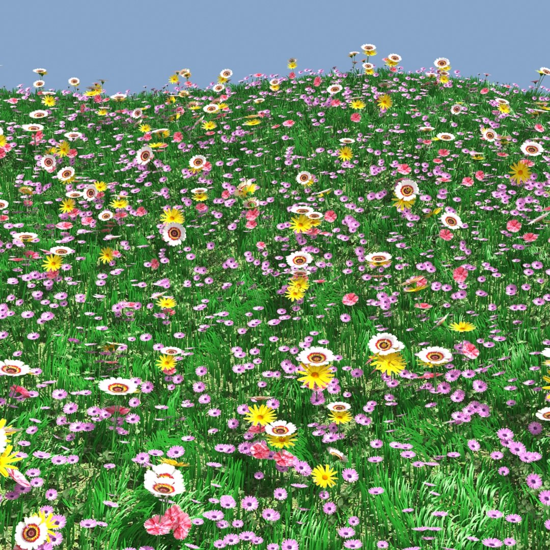 3d model meadow flowers
