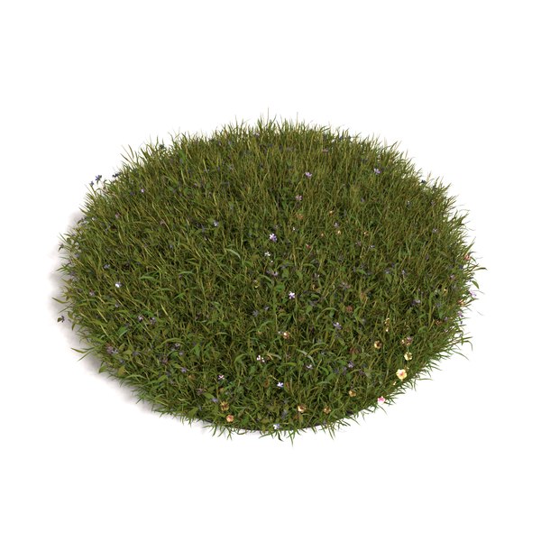 Grass 3D model - TurboSquid 1201885