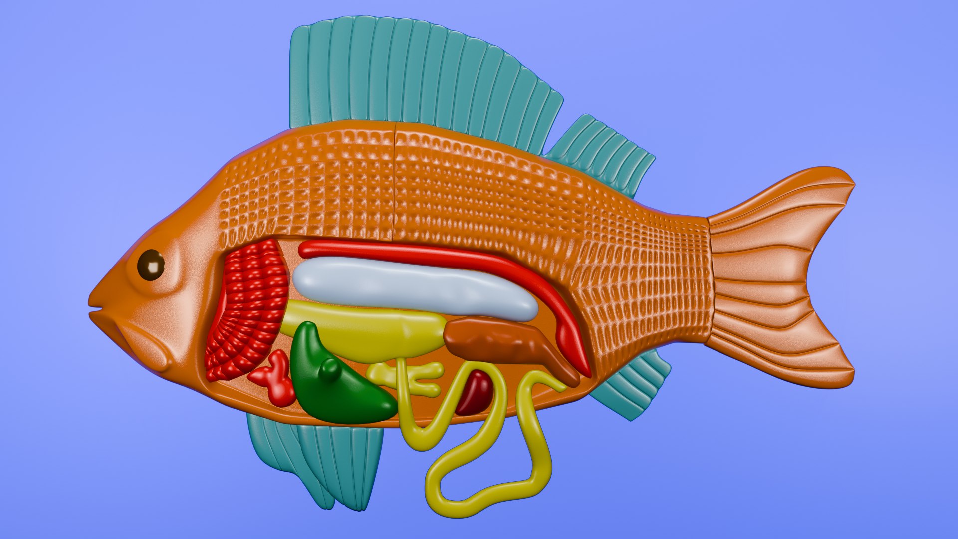 Fish 3D Model - TurboSquid 2312178