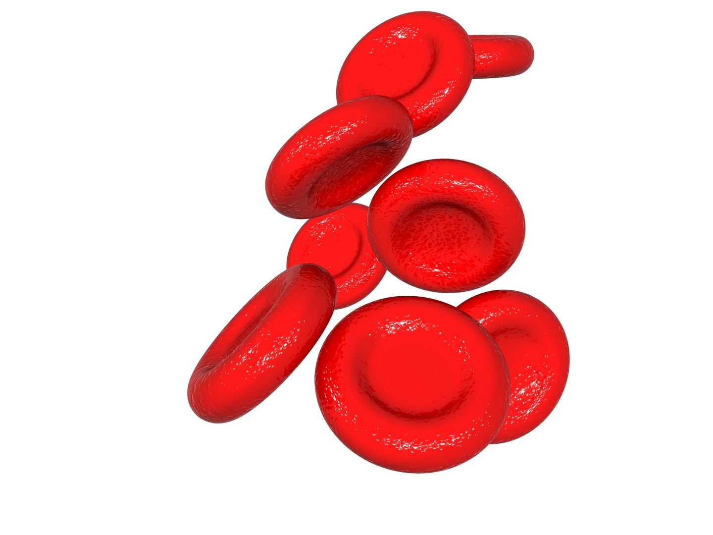 3D Blood Cells - TurboSquid 1952659