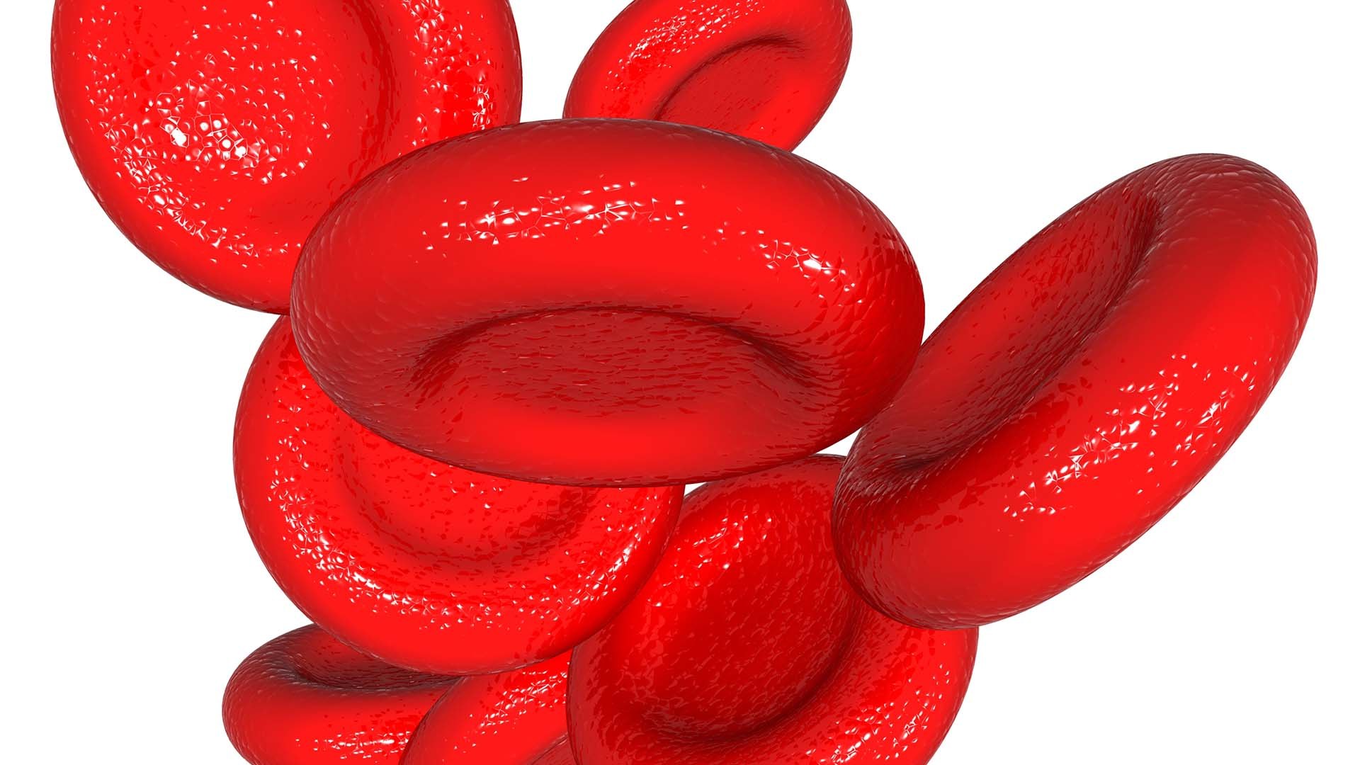 3D Blood Cells - TurboSquid 1952659
