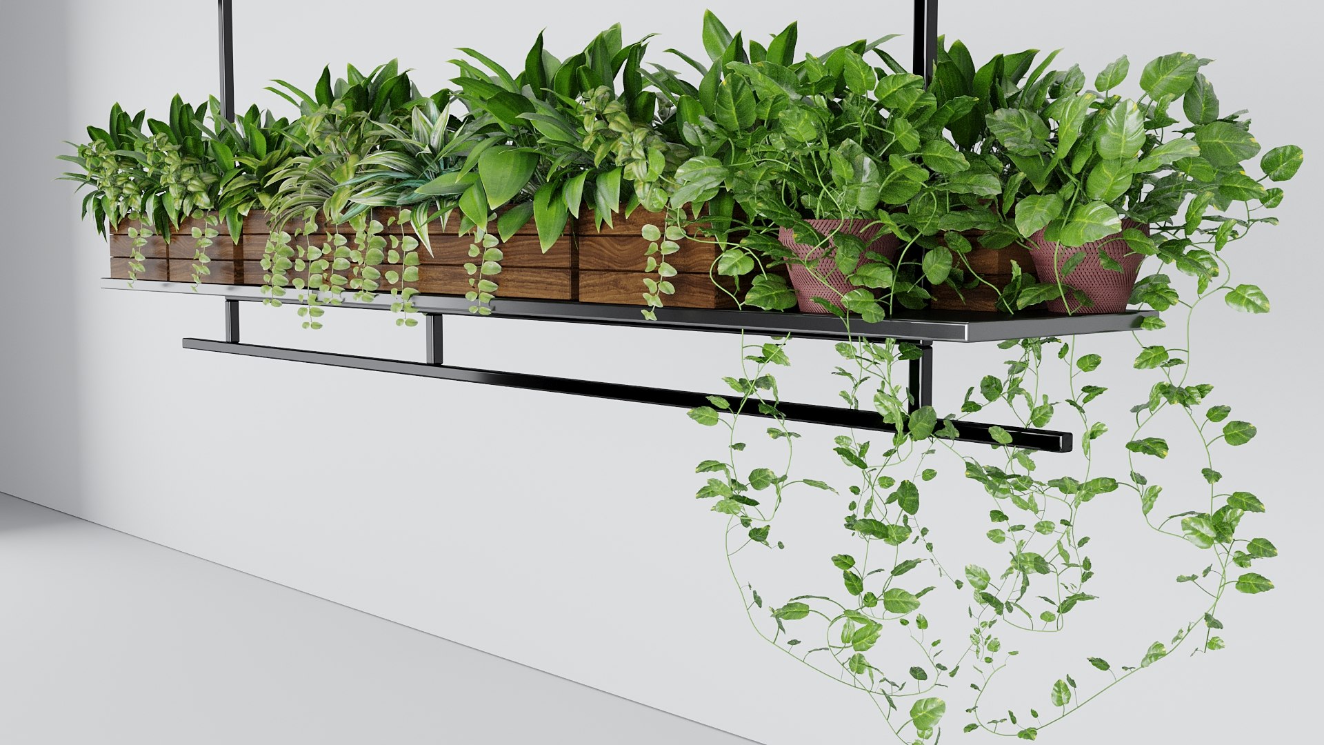 3D Model Hanging Plant - TurboSquid 2145409