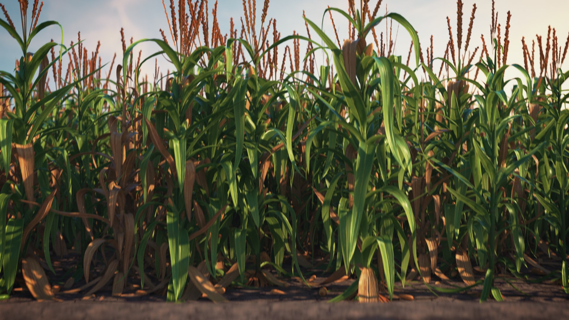 Modular Corn 3D Model - TurboSquid 2030933
