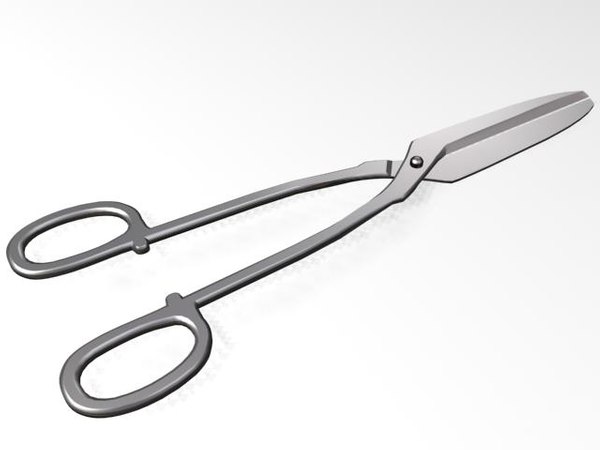 disecting scissors max