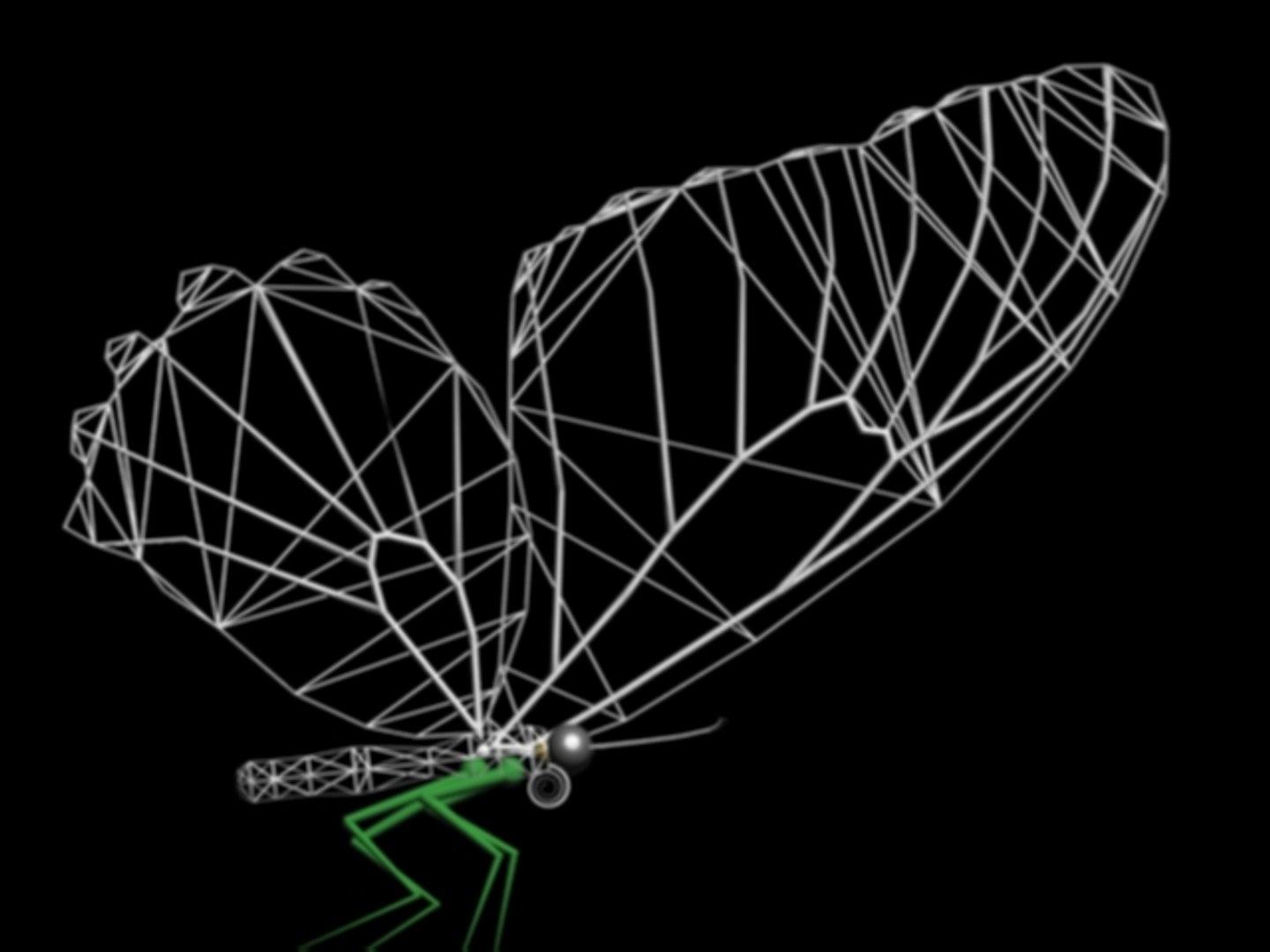 bird wing butterfly flapping 3d model