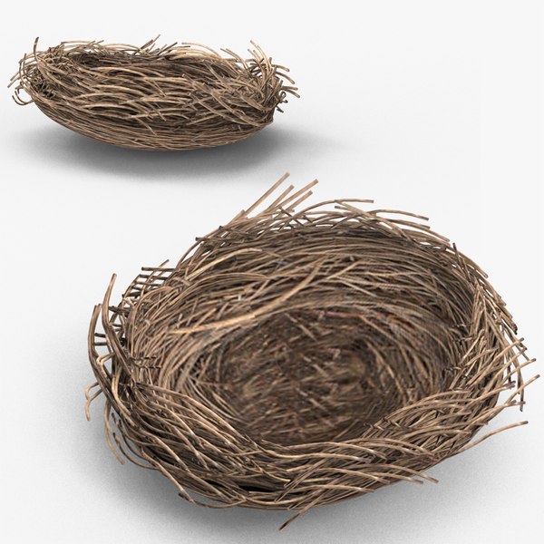 Bird Nest 3D model - TurboSquid 1820211