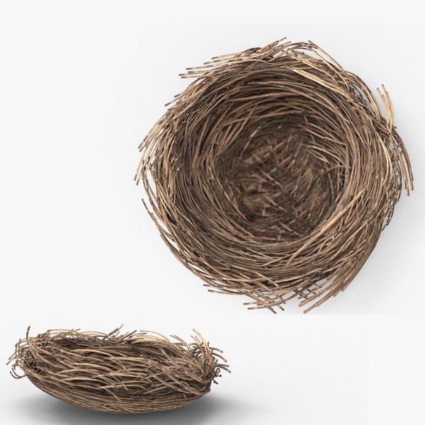Bird Nest 3D Models for Download | TurboSquid