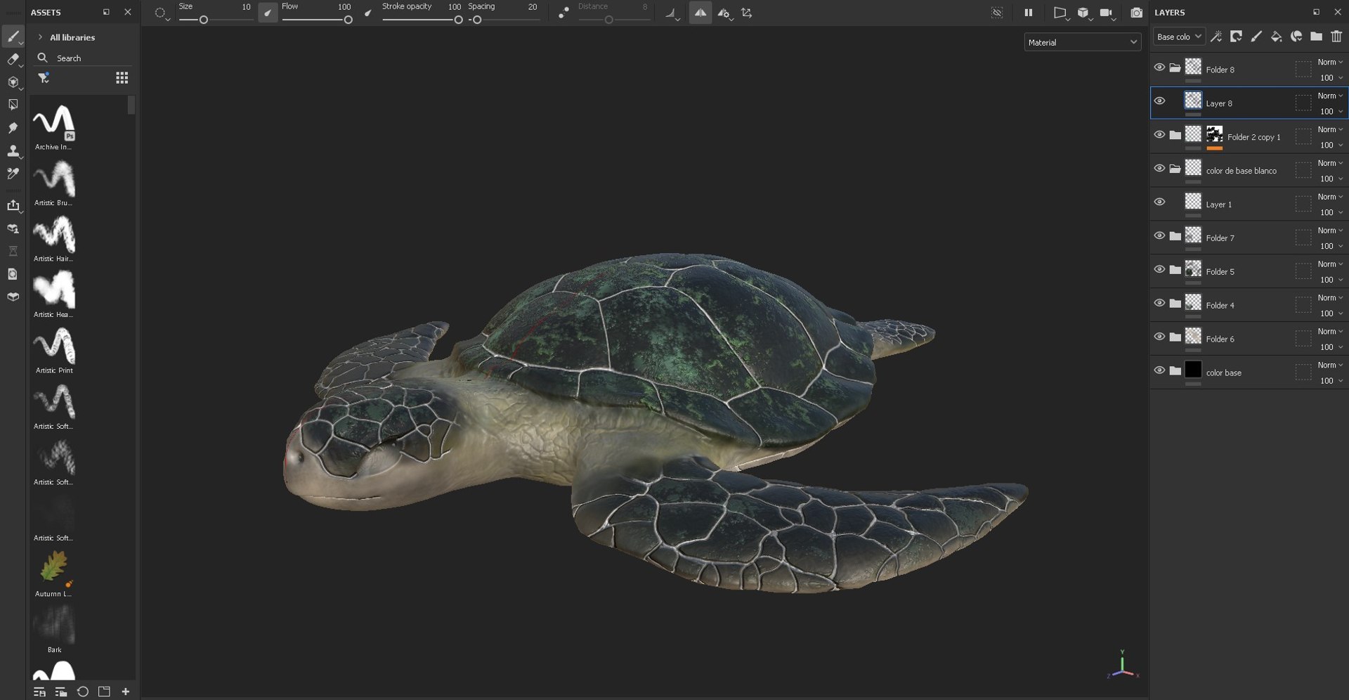 3D model Tortuga marina - TurboSquid 2122261