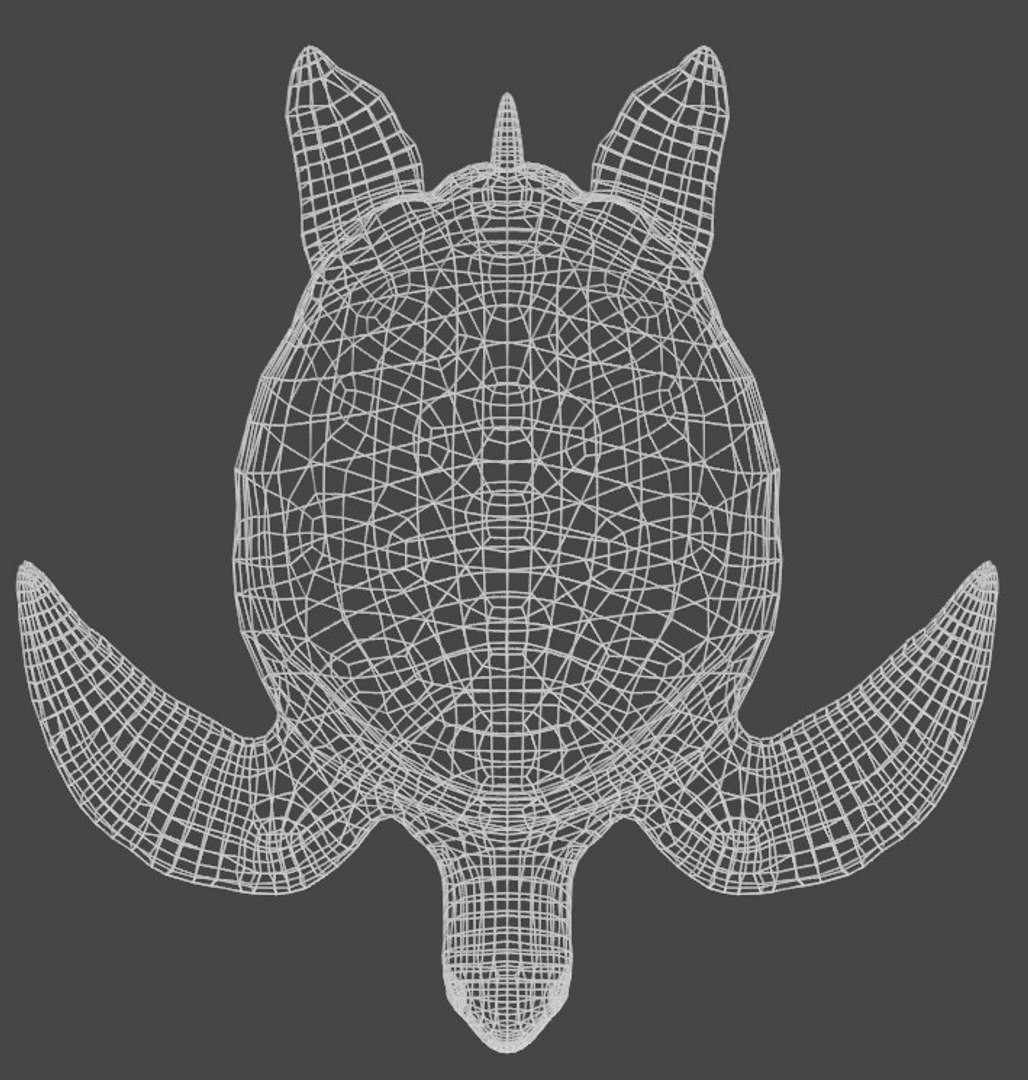 3D Model Sea Turtle - TurboSquid 2122261
