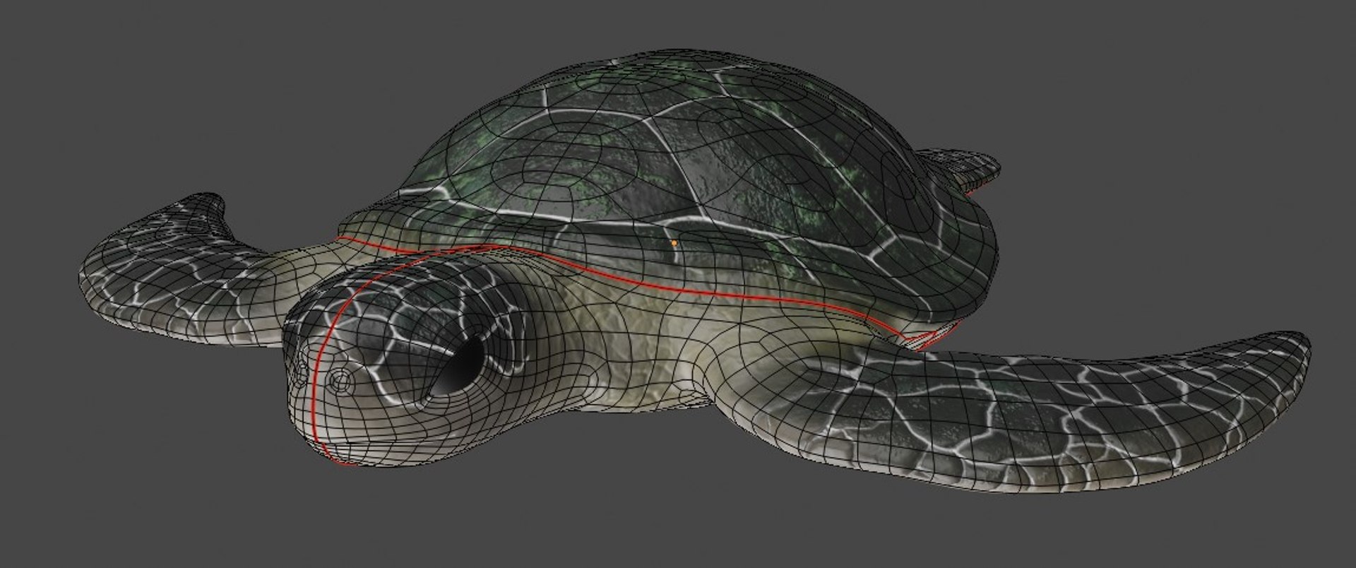 3D Model Sea Turtle - TurboSquid 2122261