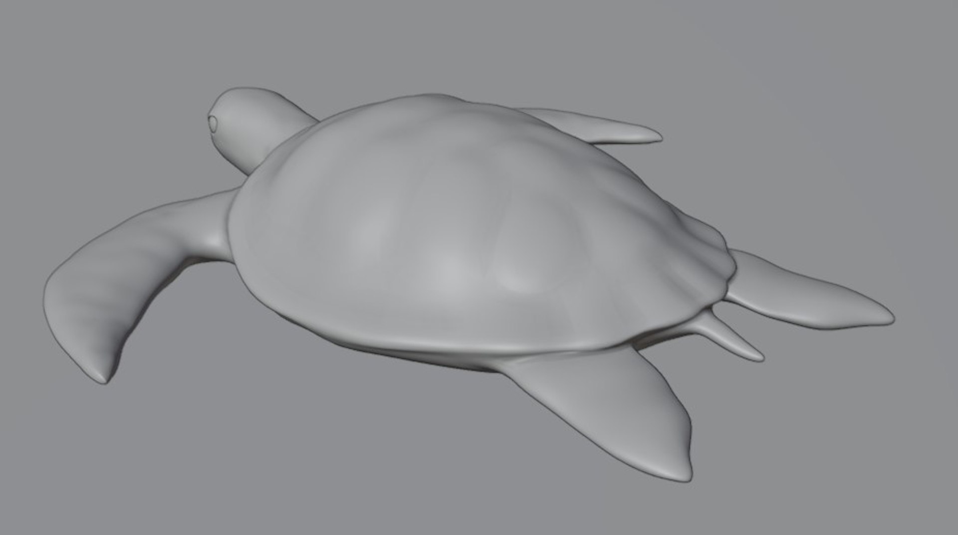 3D Model Sea Turtle - TurboSquid 2122261