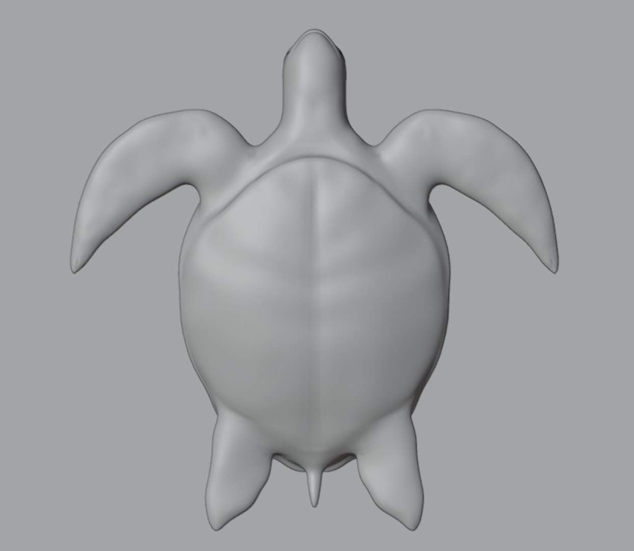 3D Model Sea Turtle - TurboSquid 2122261