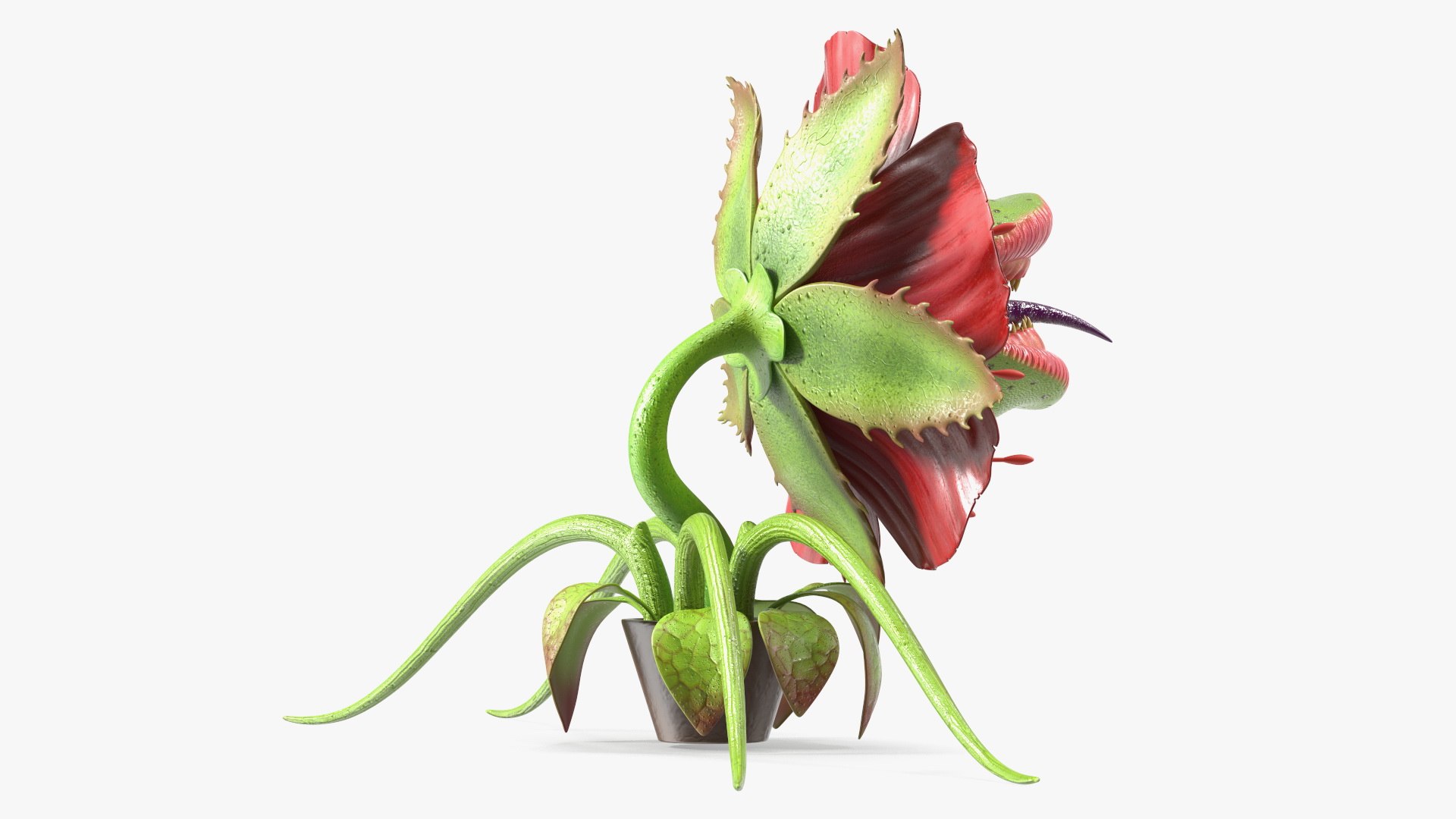 3D Halloween Monster Plant Rigged For Maya - TurboSquid 2049230